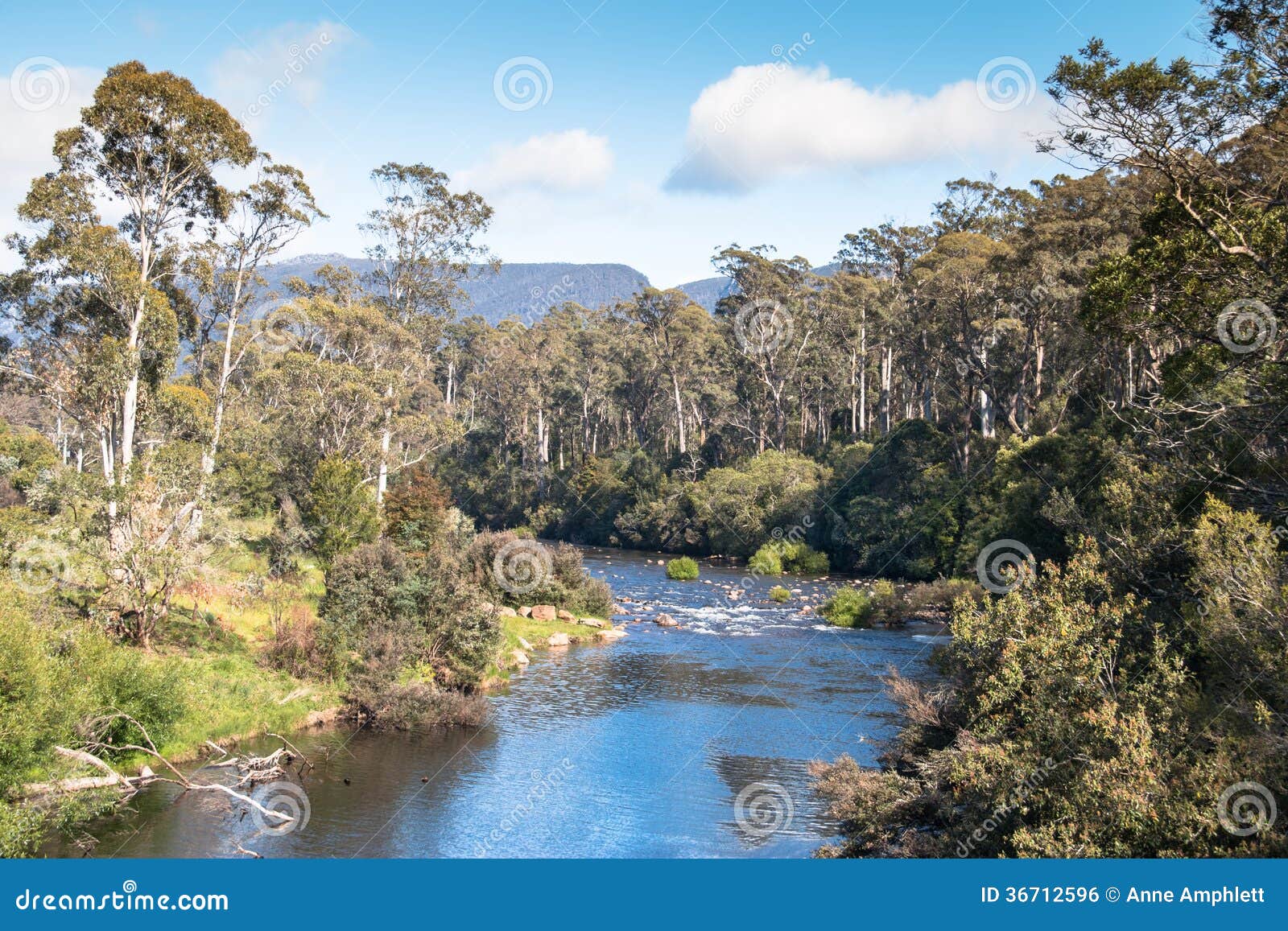 Tasmanian Mersey River stock photo. Image of river, hills - 36712596