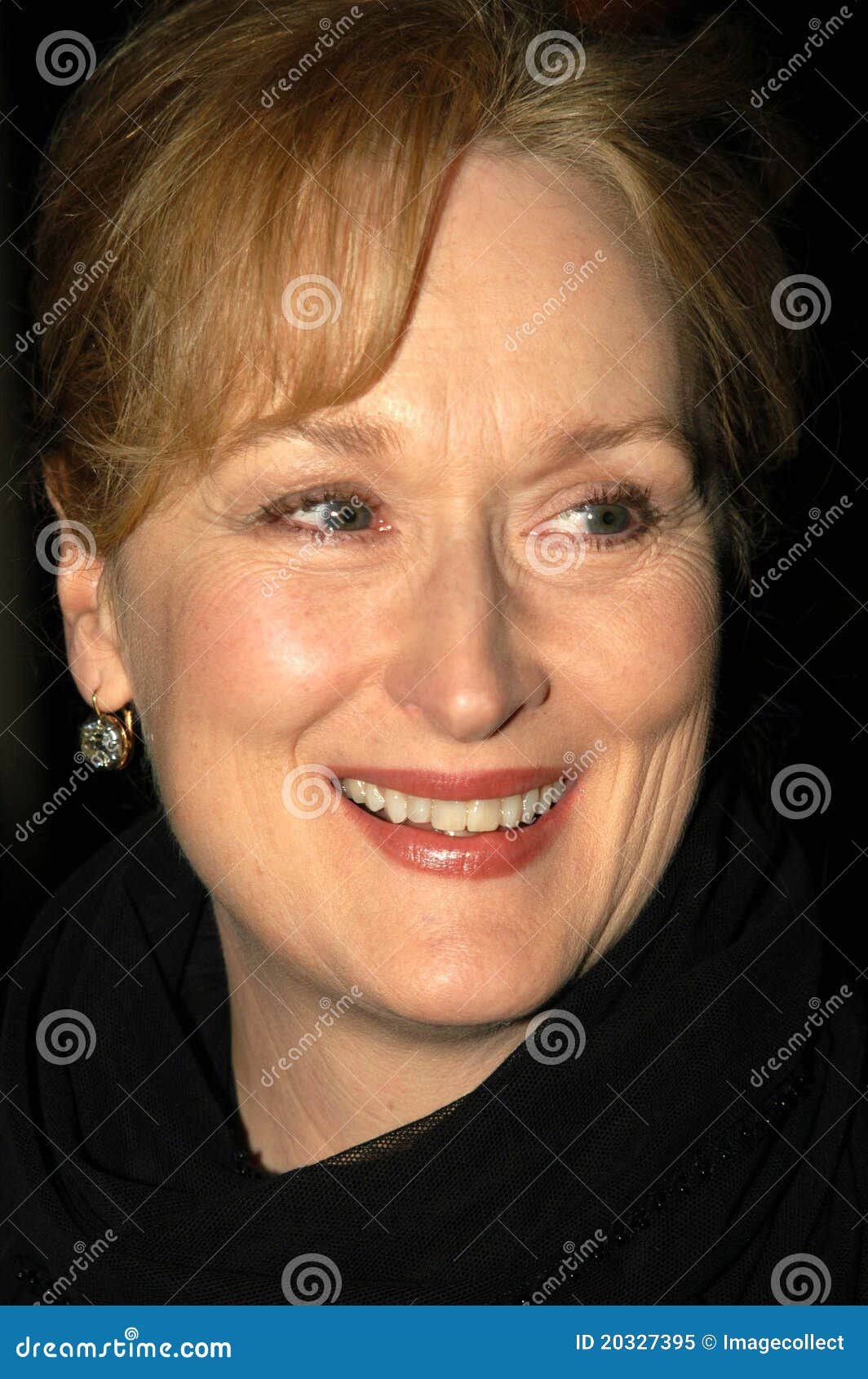 Meryl Streep editorial image. Image of guild, hills, wilshire - 20327395