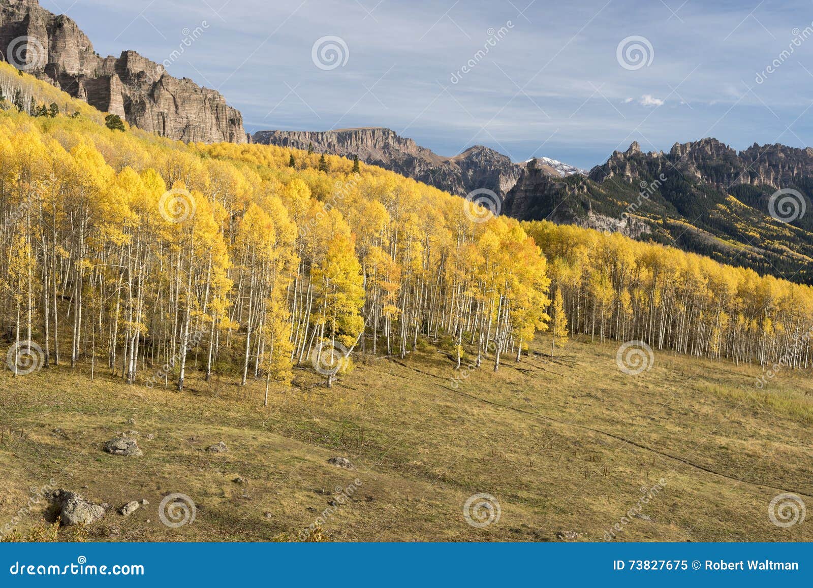 Mesa Pinnacles Alto No Vale Colorado De Cimarron Imagem de Stock ...
