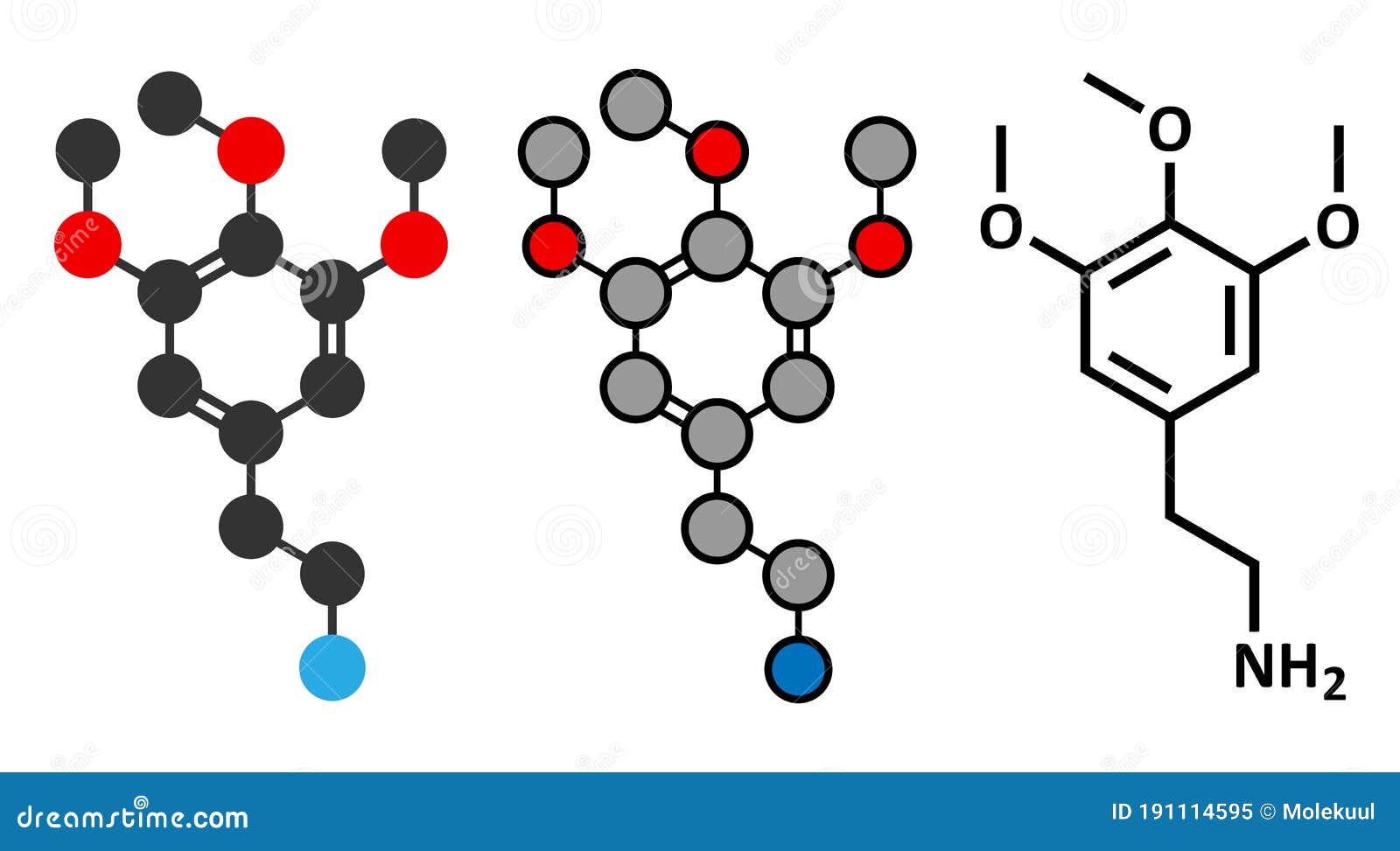 Mescaline Peyote Cactus Psychedelic Molecule. Stylized 2D Renderings ...