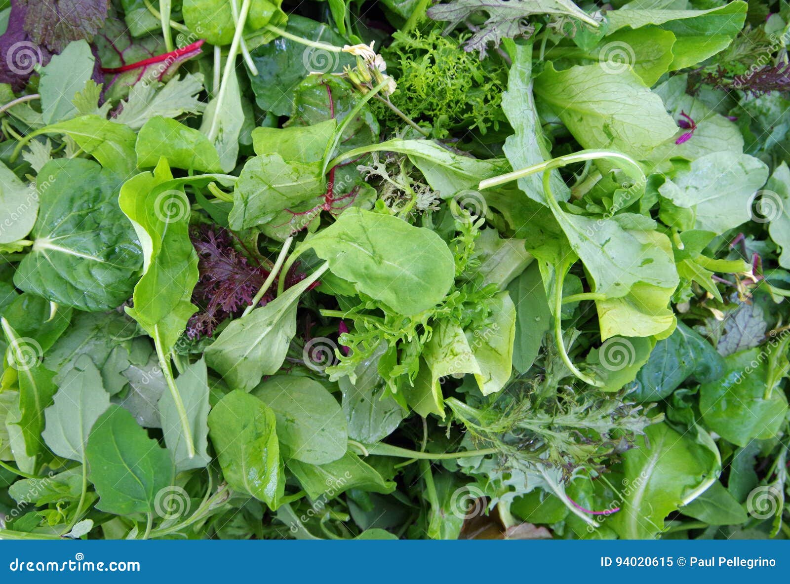 26,061 Mixed Field Stock Photos - Free & Royalty-Free Stock Photos from ...