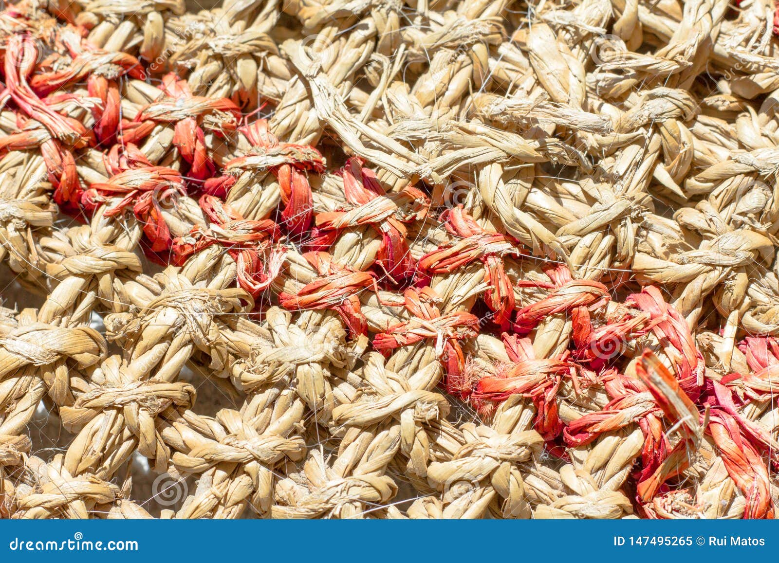 Mesh background stock image. Image of texture, nature - 147495265