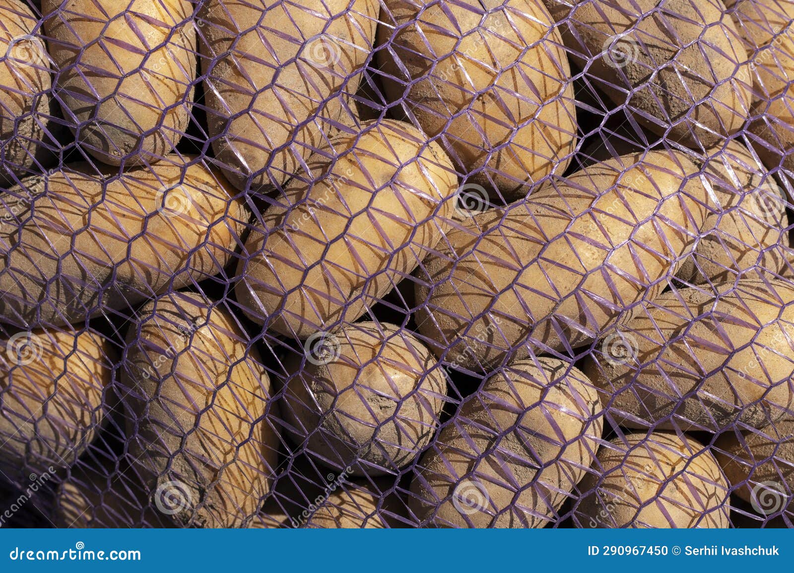 Mesh bag with potatoes. stock photo. Image of organic - 290967450