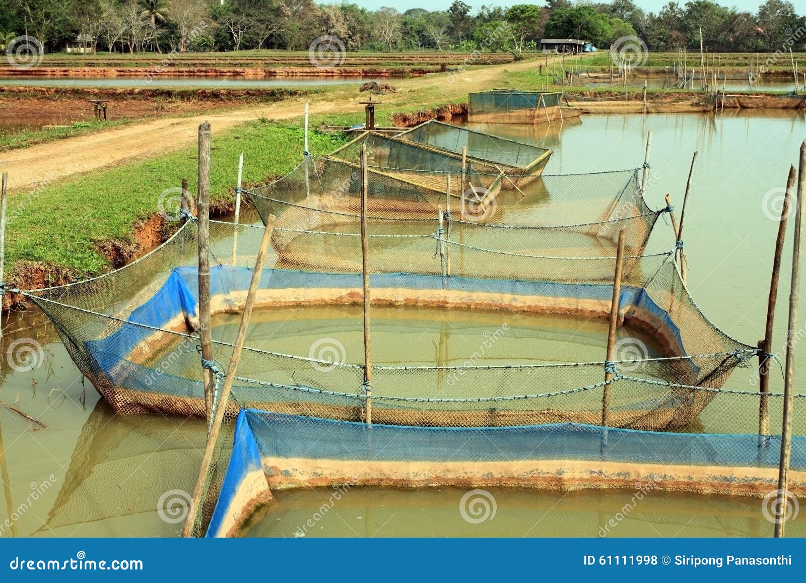 Cage Fish Farming In Ponds Royalty-Free Stock Photography ...