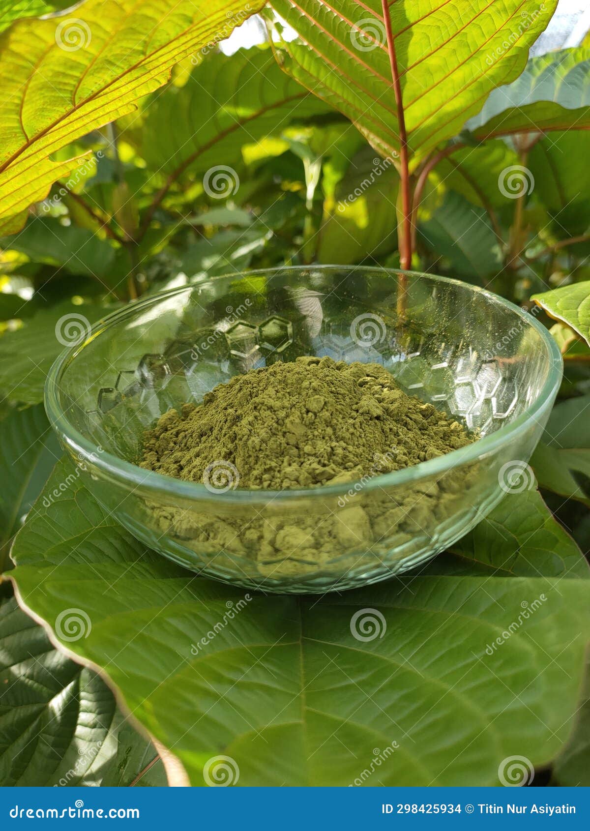 200 Mesh Kratom Powder Super Tiny Powder Mitragyna Speciosa on the ...