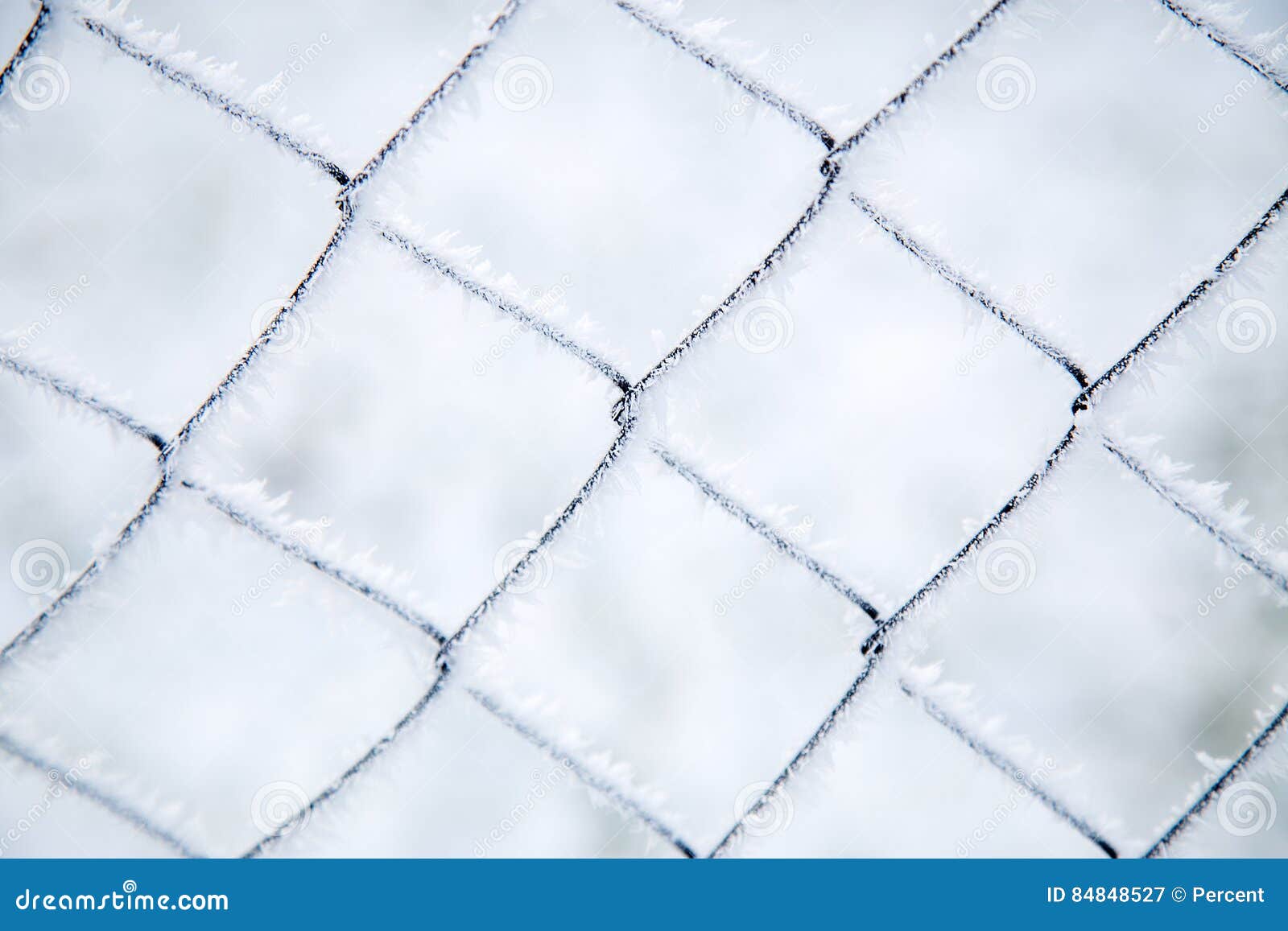 Mesh Netting Fence Texture Background Royalty-Free Stock Photo ...