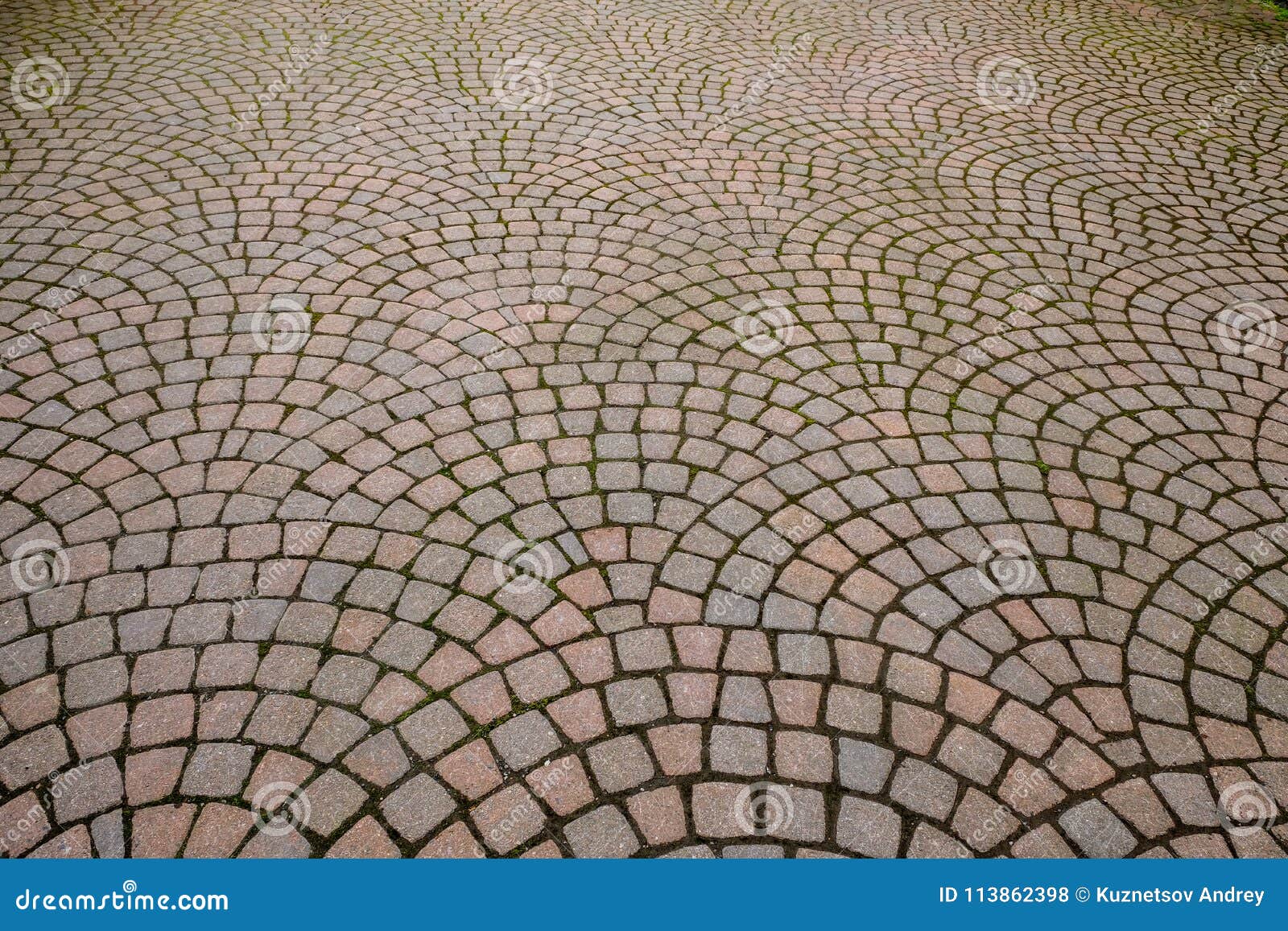 Mesh Pattern on a Cobblestone Pavement Stock Photo - Image of ornament ...