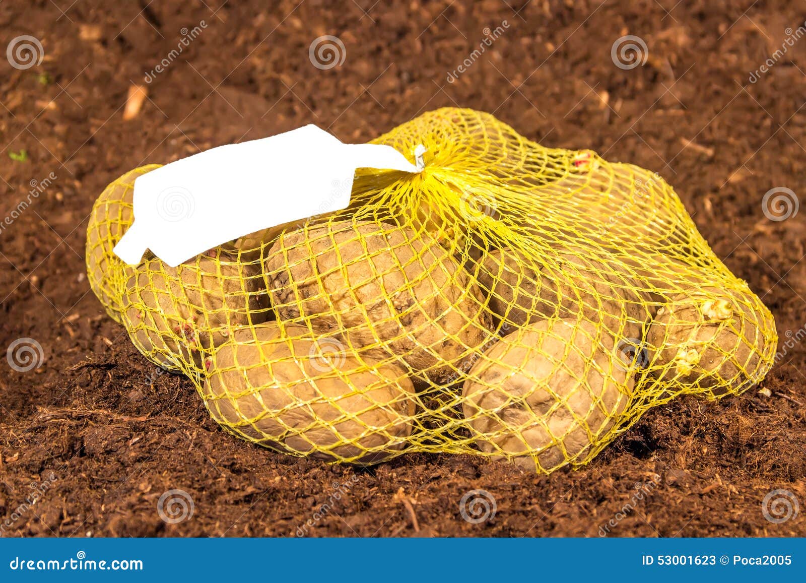 Mesh Potatoes with a White Tag Stock Image - Image of empty, healthy ...