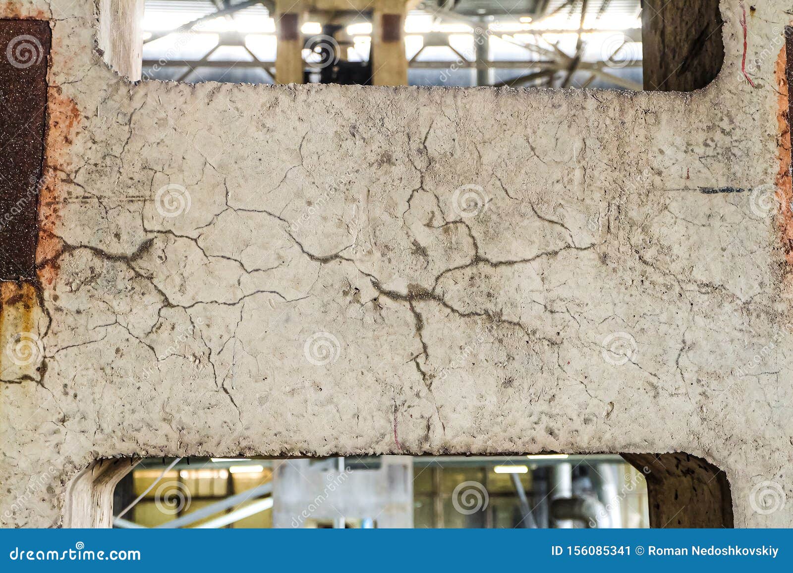 Mesh of Wet Cracks on the Surface Two-branch Column Stock Image - Image ...