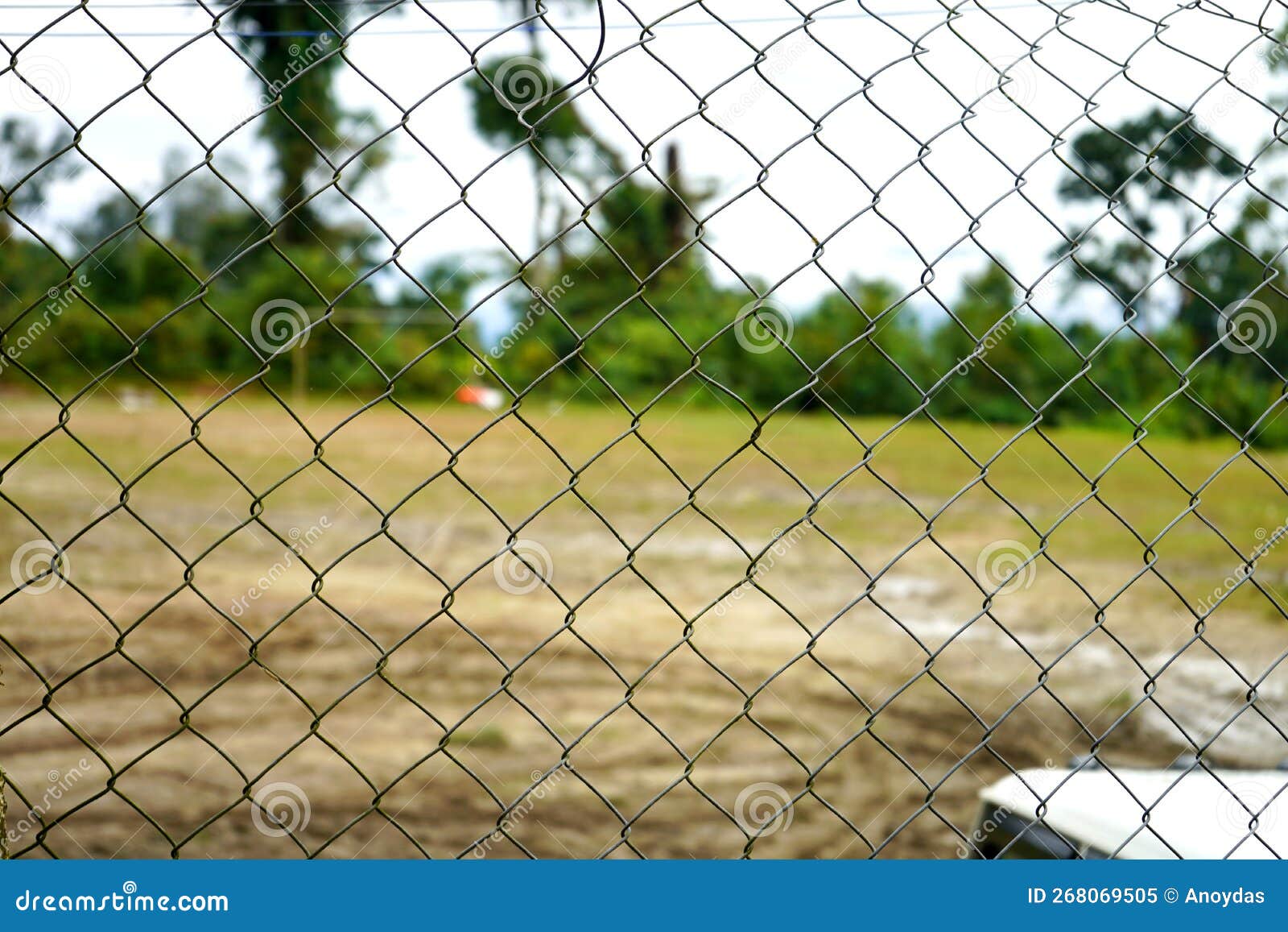 Mesh Wire Net Background with Green Nature Stock Image - Image of ...
