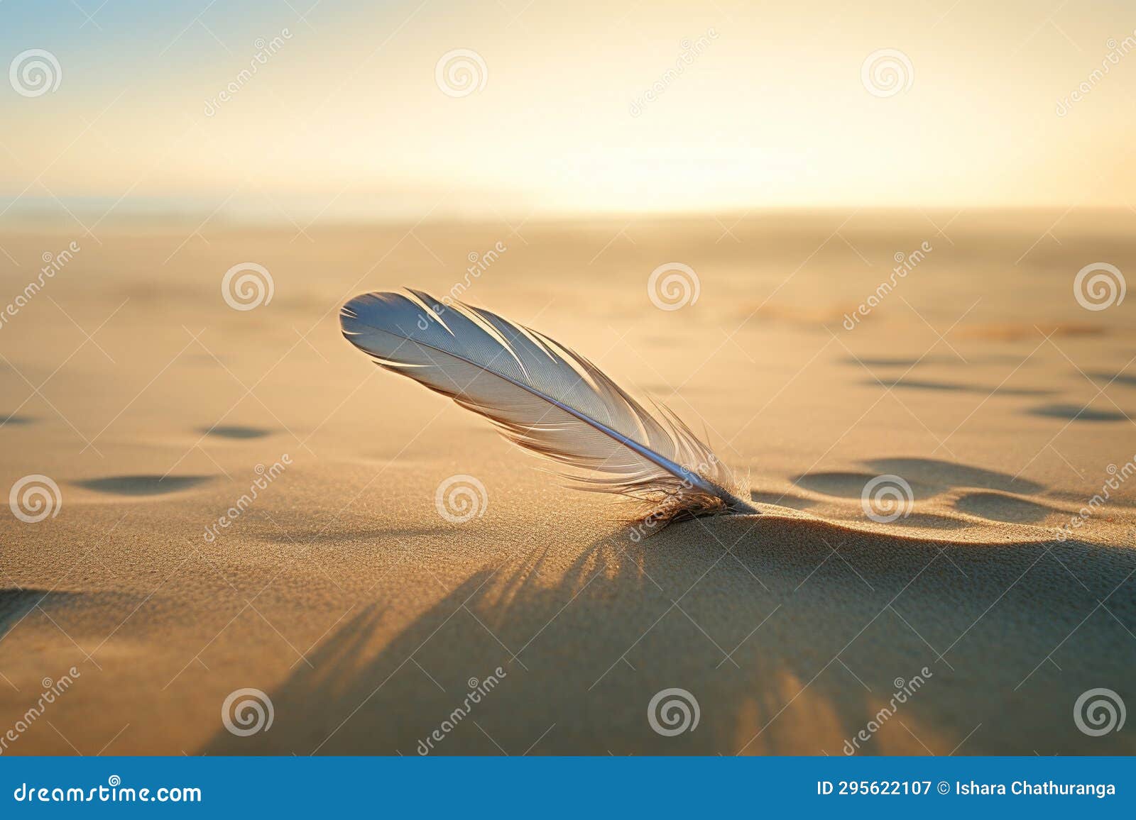 Minimalist Feather on Sandy Beach, Close Up Photography Stock ...