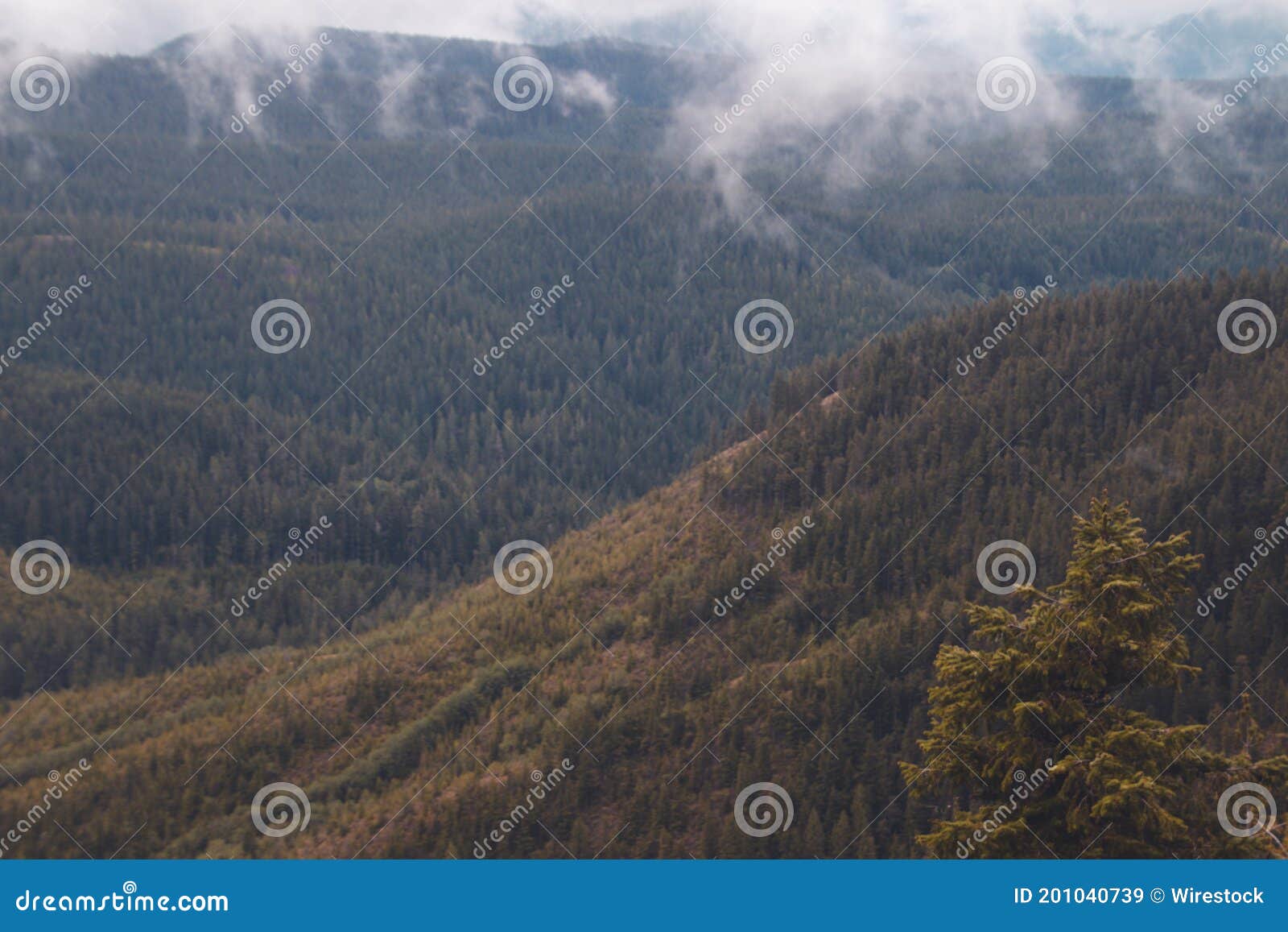 Mesmerizing Landscape of Forested Mountains Stock Image - Image of hill ...