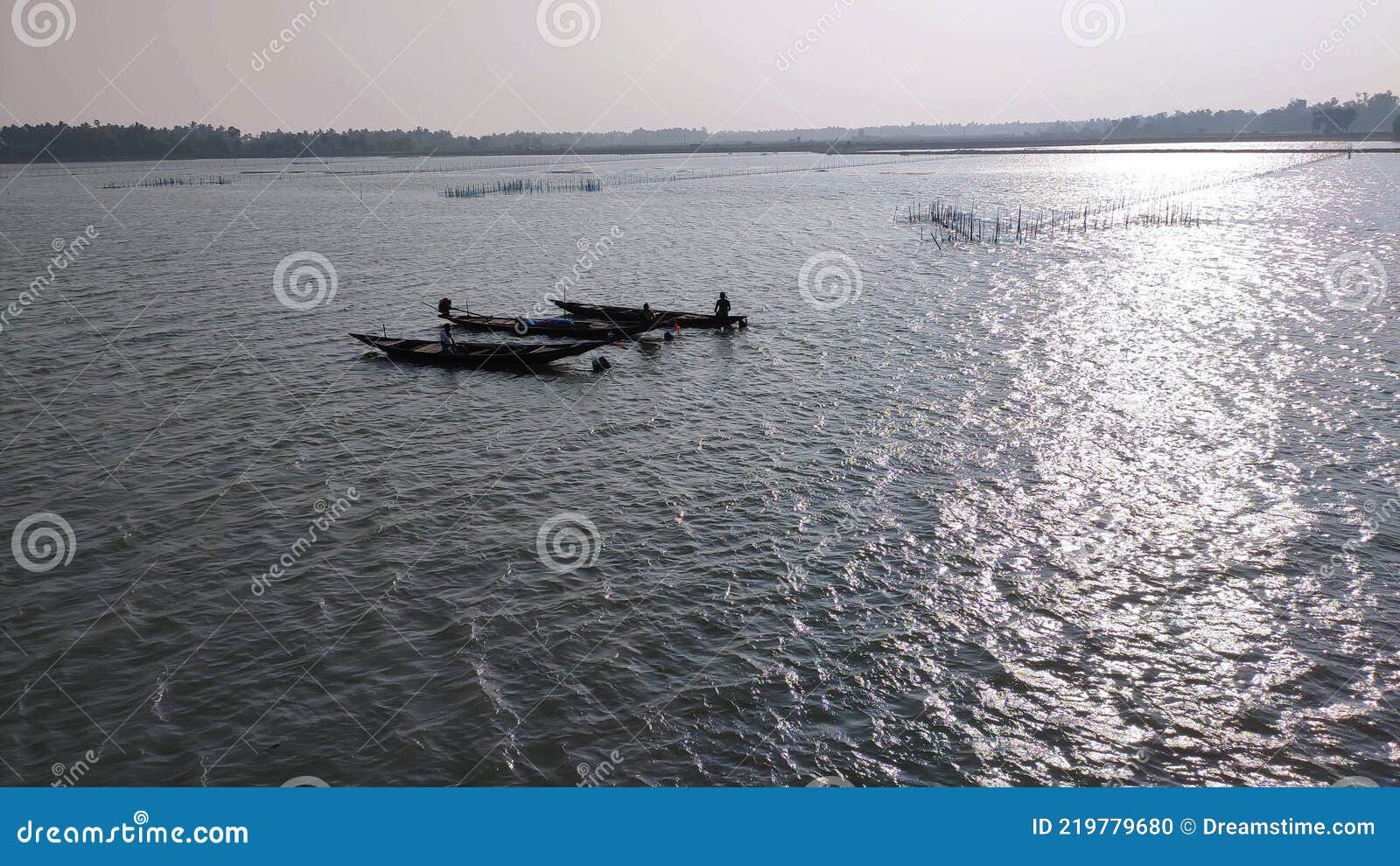 Mesmerizing Picture of Chilika Lake Catching Fish Stock Photo - Image ...