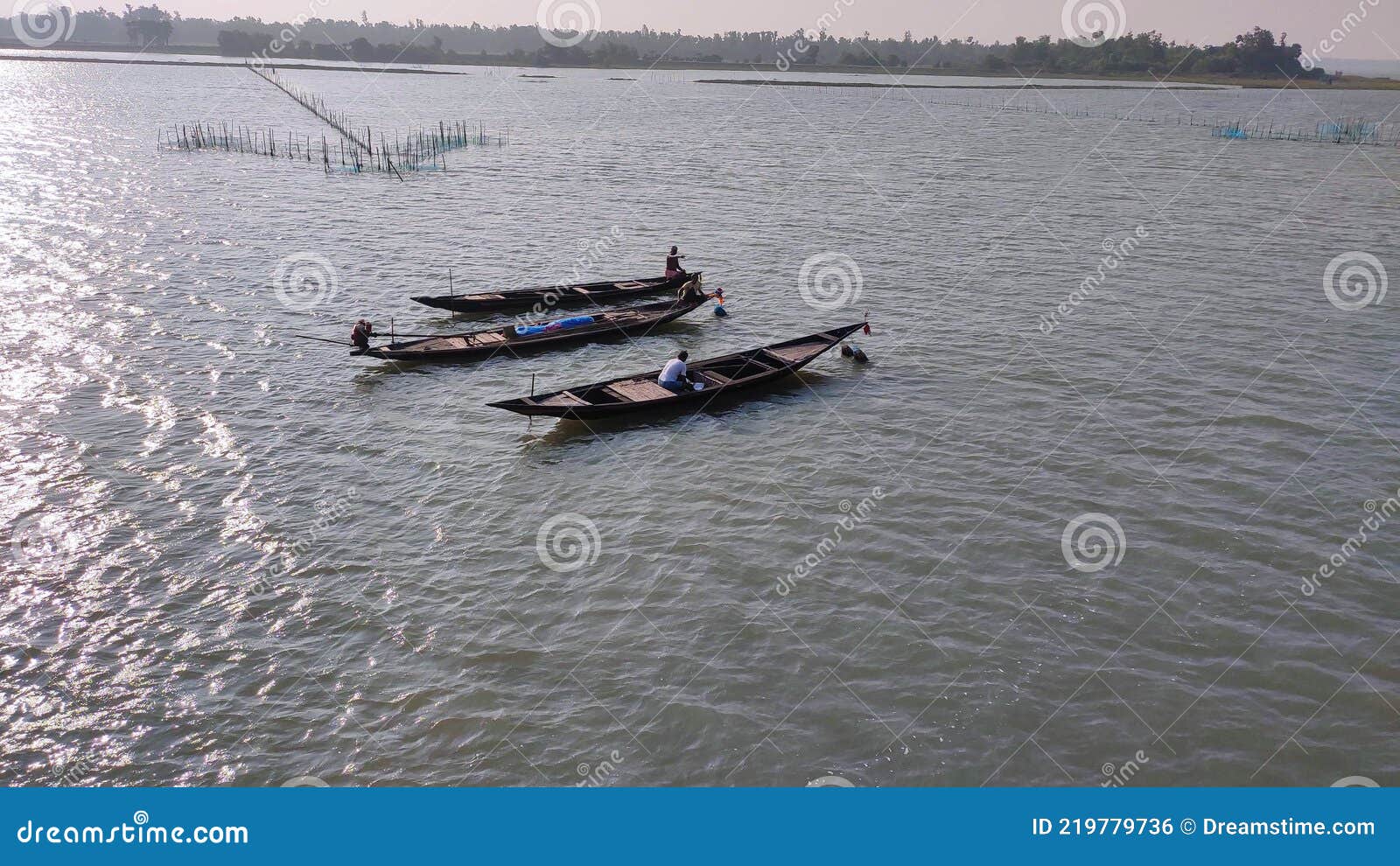 Mesmerizing Picture of Chilika Lake Catching Fish in Morning Editorial ...