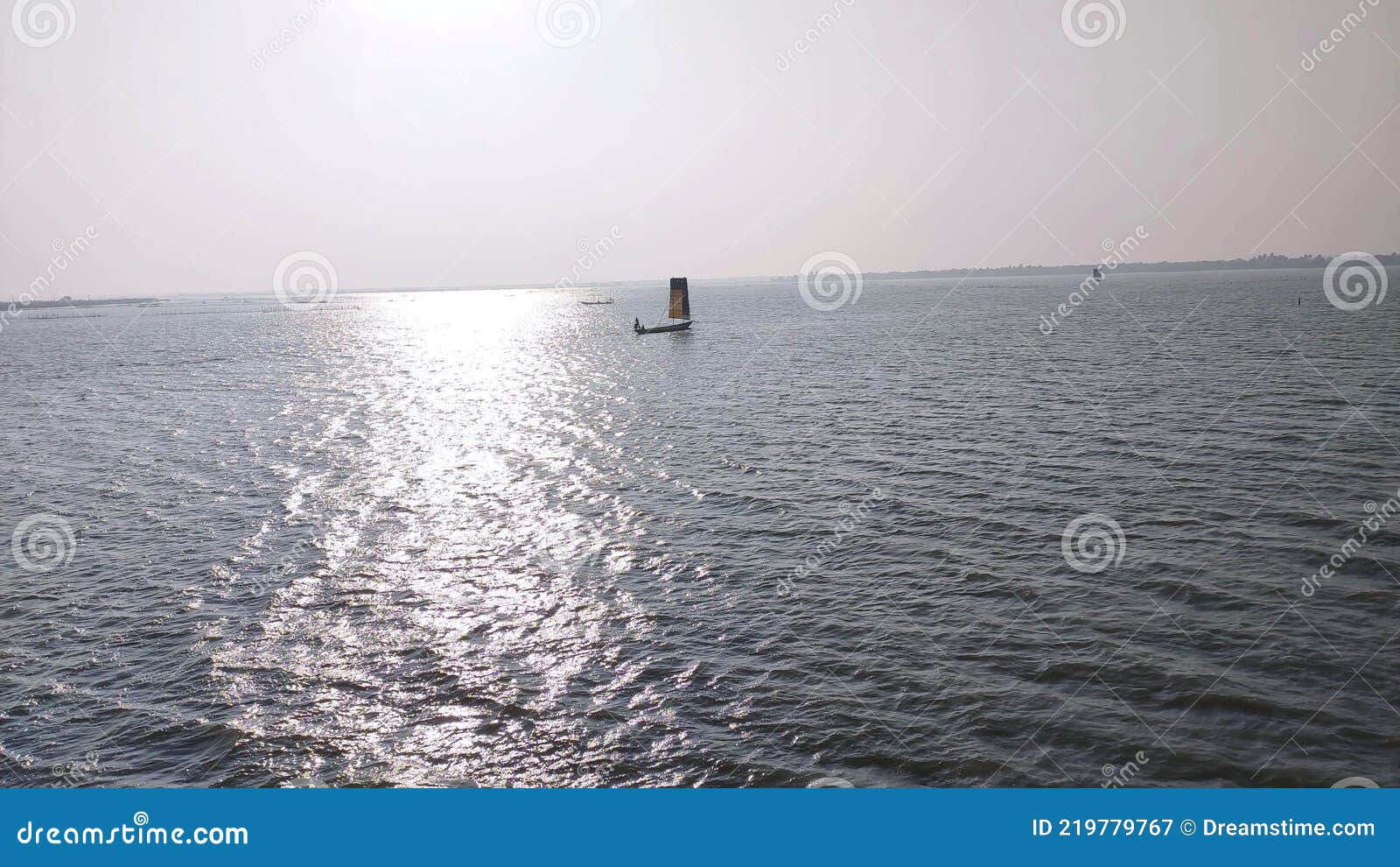 Mesmerizing Picture of Chilika Lake Catching Fish in Morning Stock ...