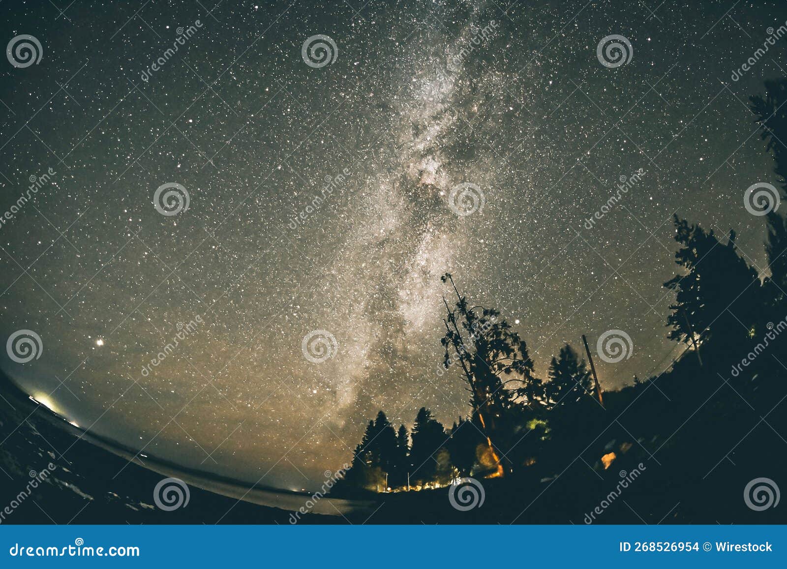 Mesmerizing Starry Sky Over a Forest Stock Photo - Image of astronomy ...