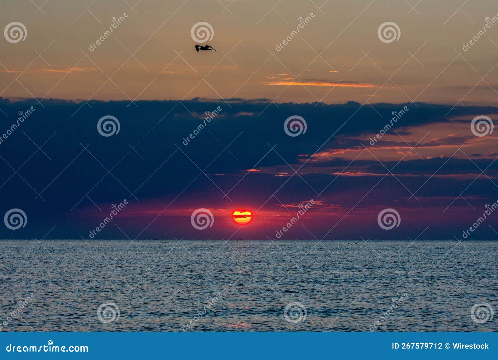 Mesmerizing Sunset Over the Ocean Stock Photo - Image of water, ocean ...