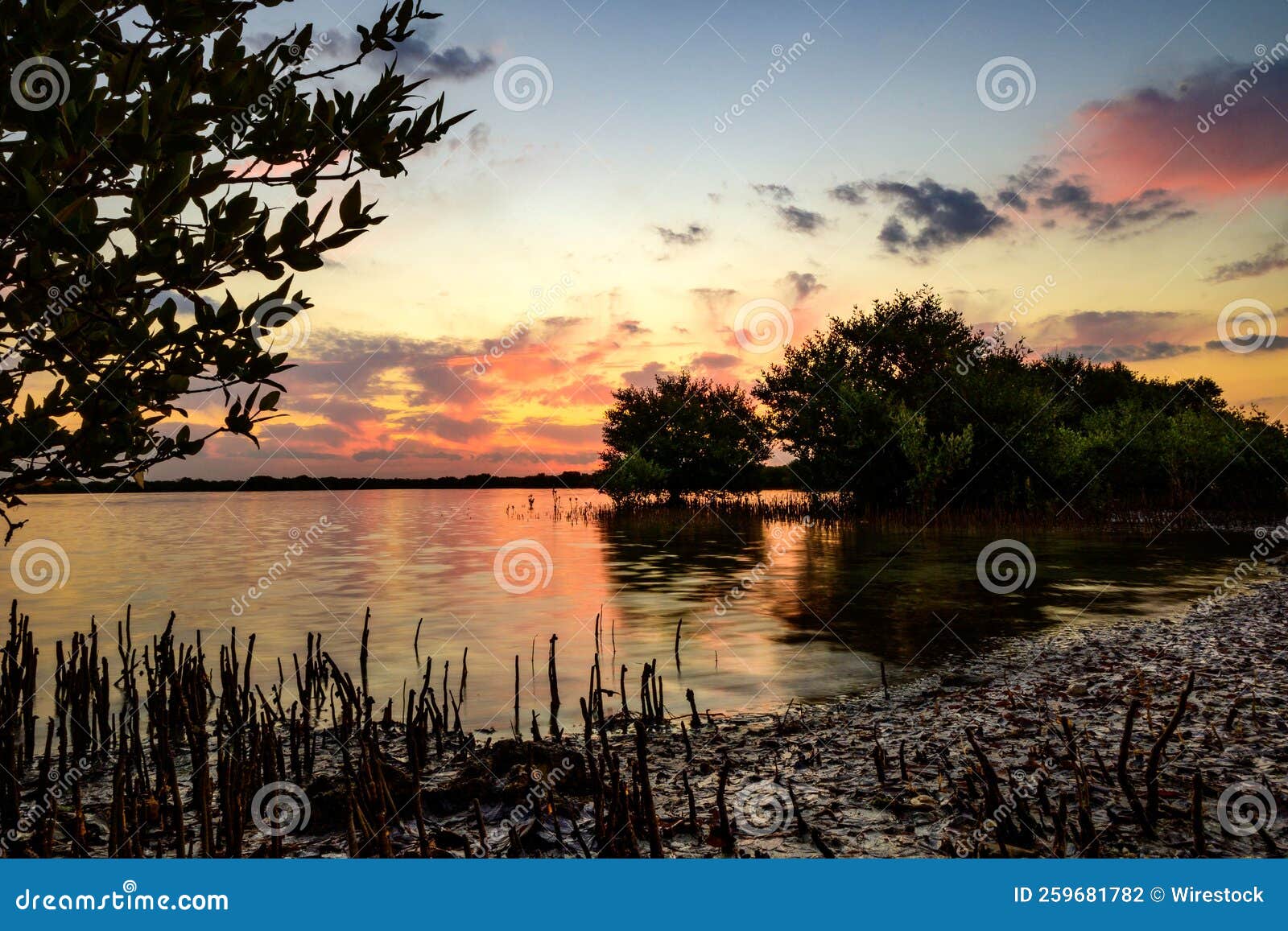 Mesmerizing Sunset on Purple Island, Doha Stock Photo - Image of yellow ...