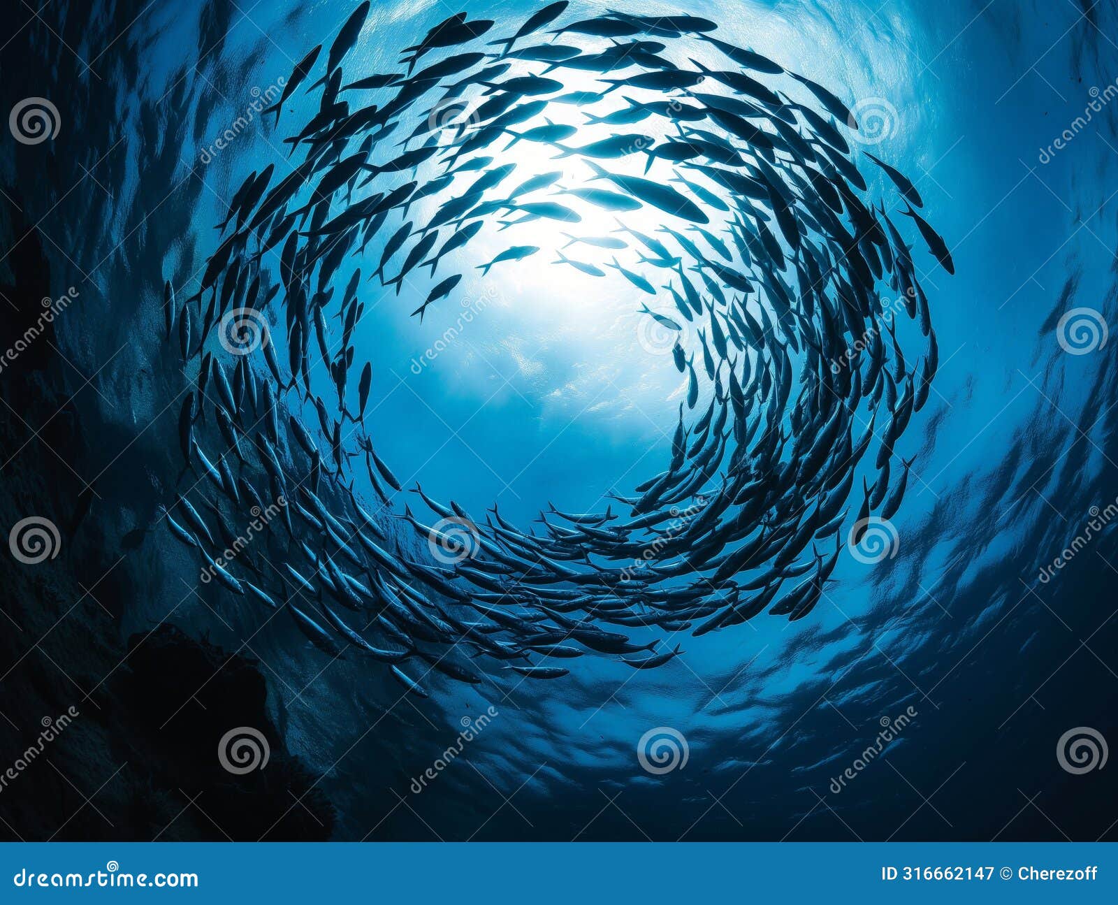 School of Fish in Ocean Vortex Stock Image - Image of marine, pattern ...