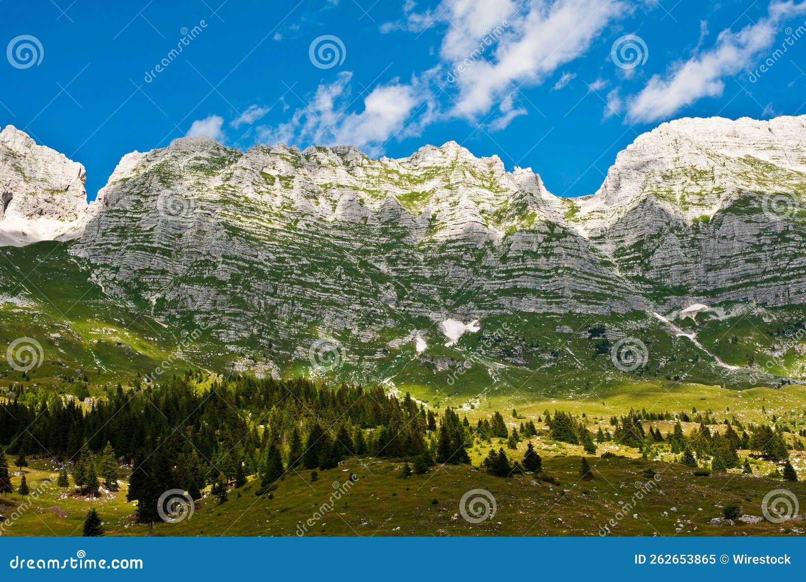 Mesmerizing View of a Beautiful Mountainous Landscape with a Dense ...