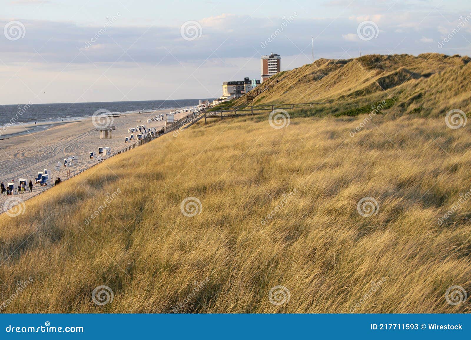 Mesmerizing View of Dune Grass with an Ocean during Sunset Stock Image ...
