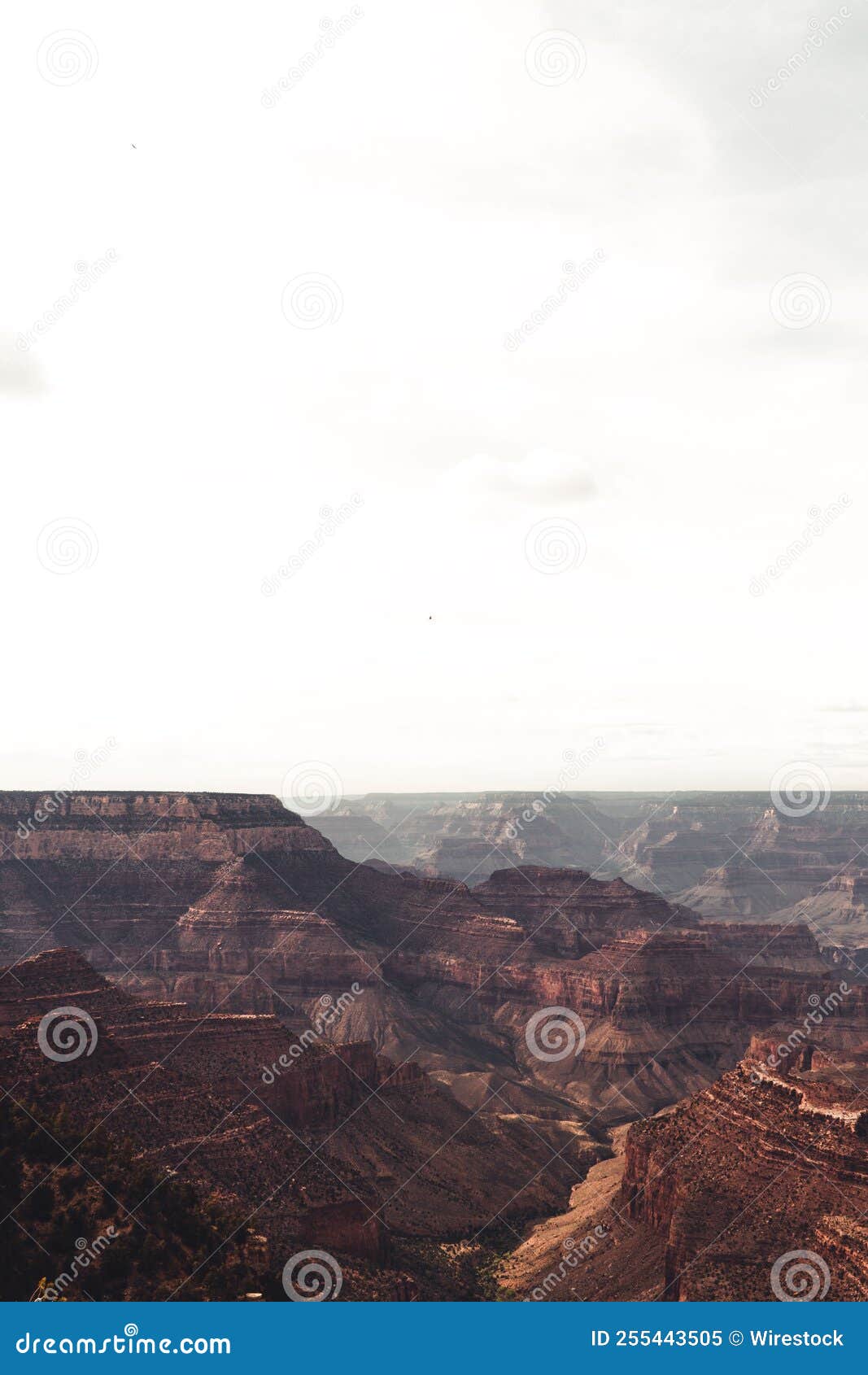 Mesmerizing View of Grand Canyon in Arizona Stock Image - Image of ...