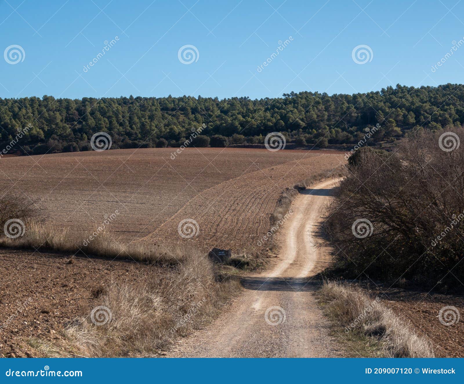 Mesmerizing View of a Long Rural Road between Fields Stock Photo ...