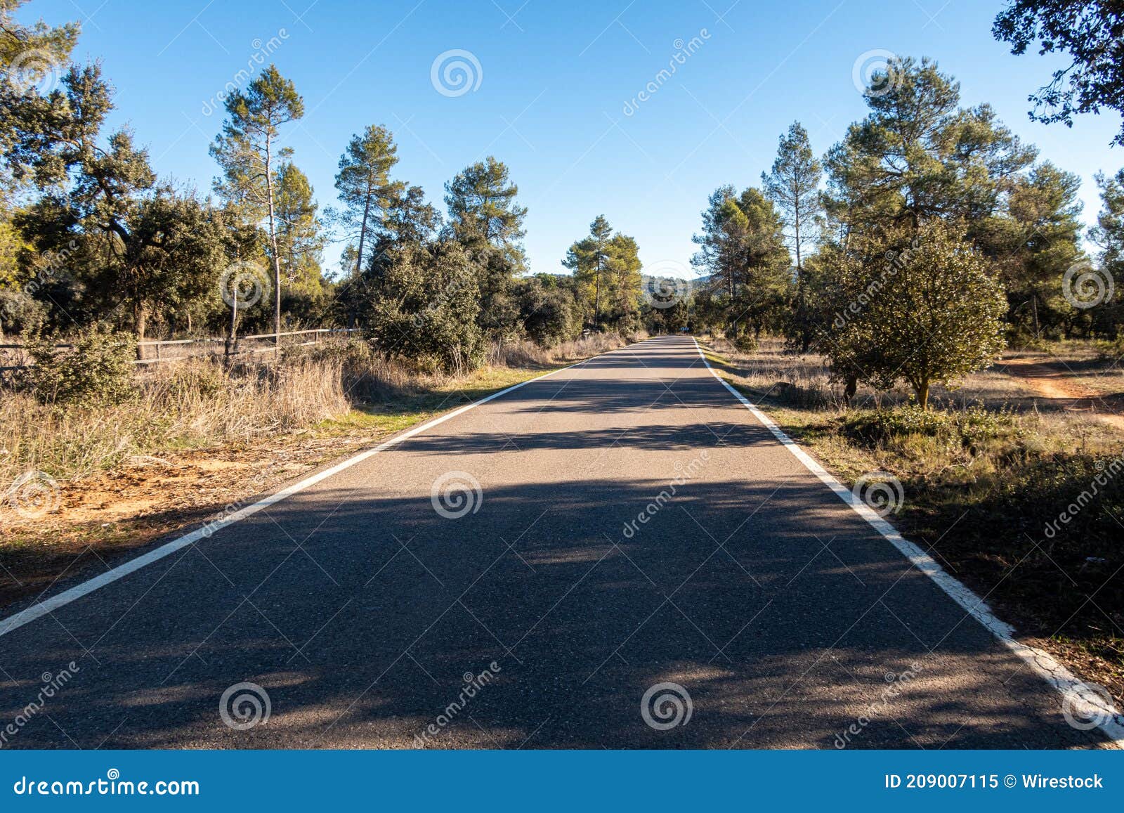 Mesmerizing View of a Long Rural Road between Tr Stock Image - Image of ...