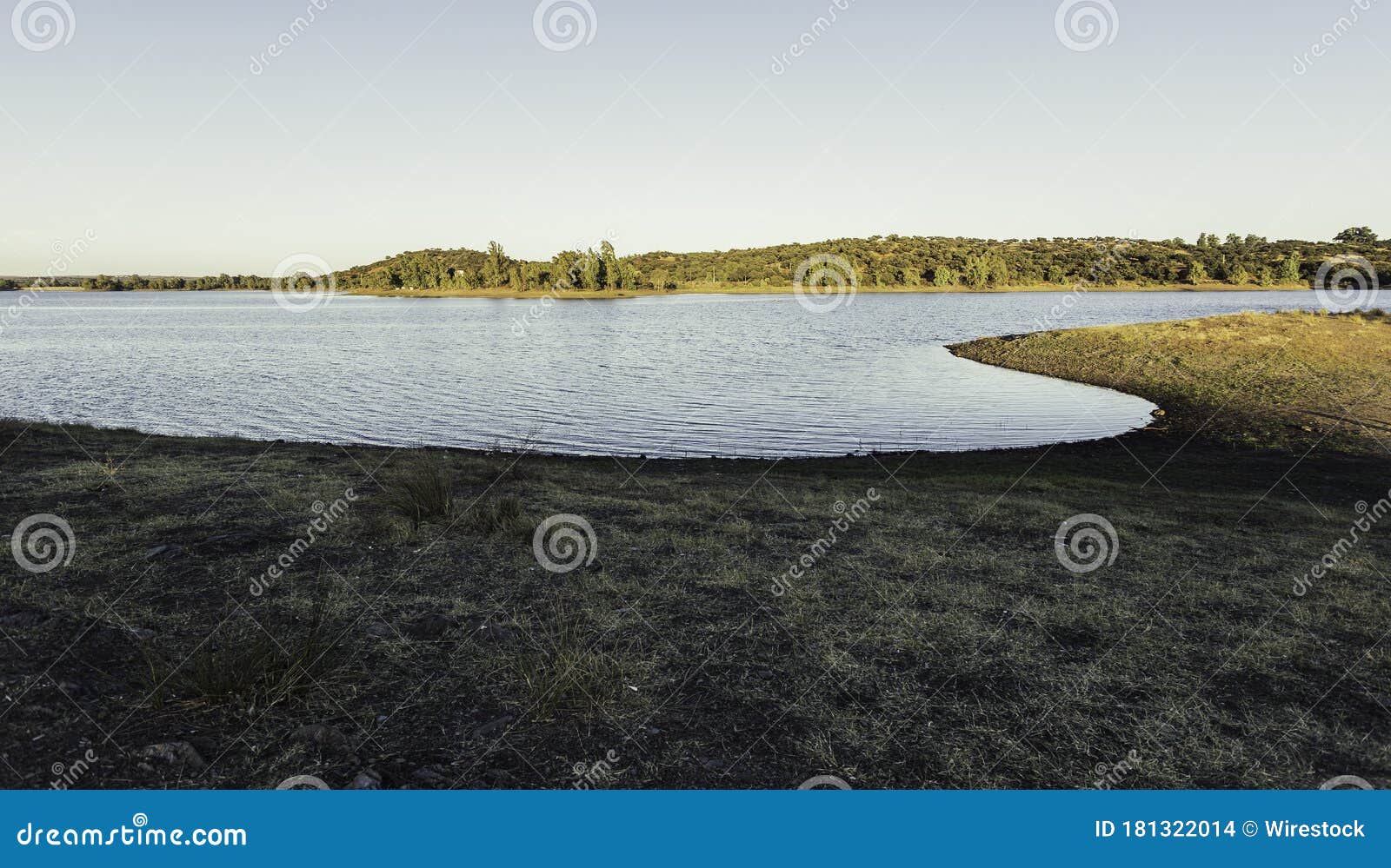 Mesmerizing View of a Sea Beach Covered with Grass on the Limitless Sky ...