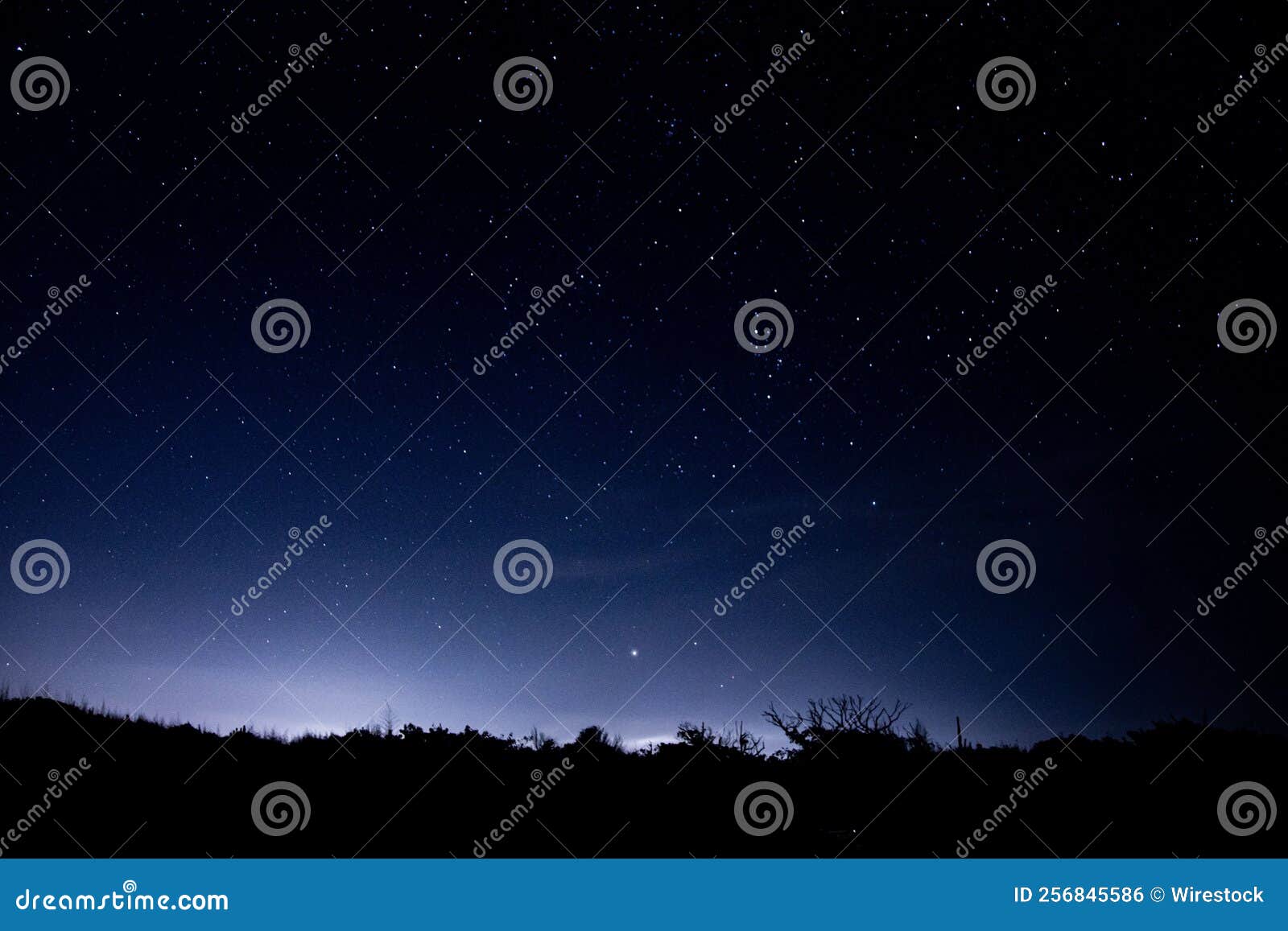 Mesmerizing View of the Starry Night Sky Stock Photo - Image of night ...