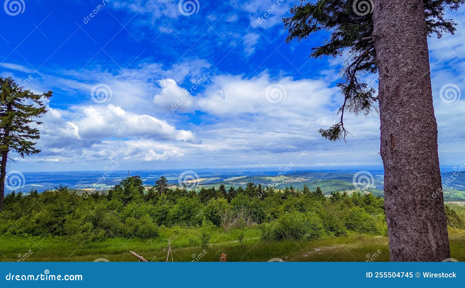 Mesmerizing View of Trees and Nature Sceneries Under a Beautiful Sky ...