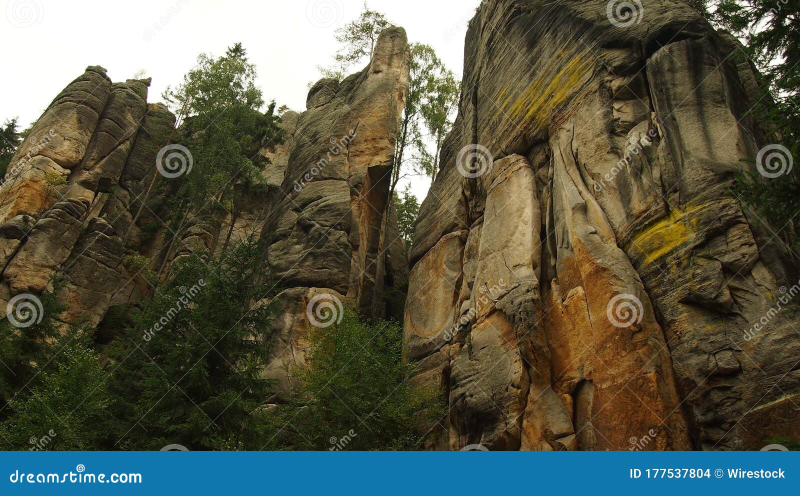 Mesmerizing View of the Weathered Cliffs in the Forest - Perfect for ...