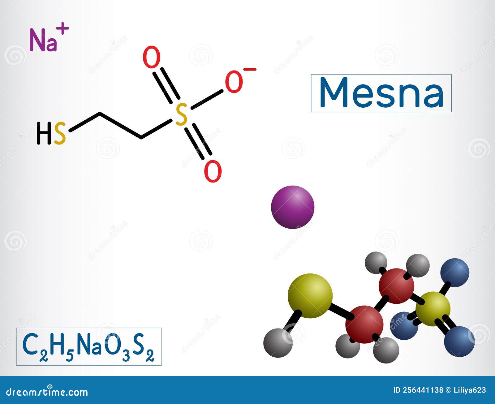 Mesna Drug Molecule. Structural Formula, Molecule Model Stock Vector ...