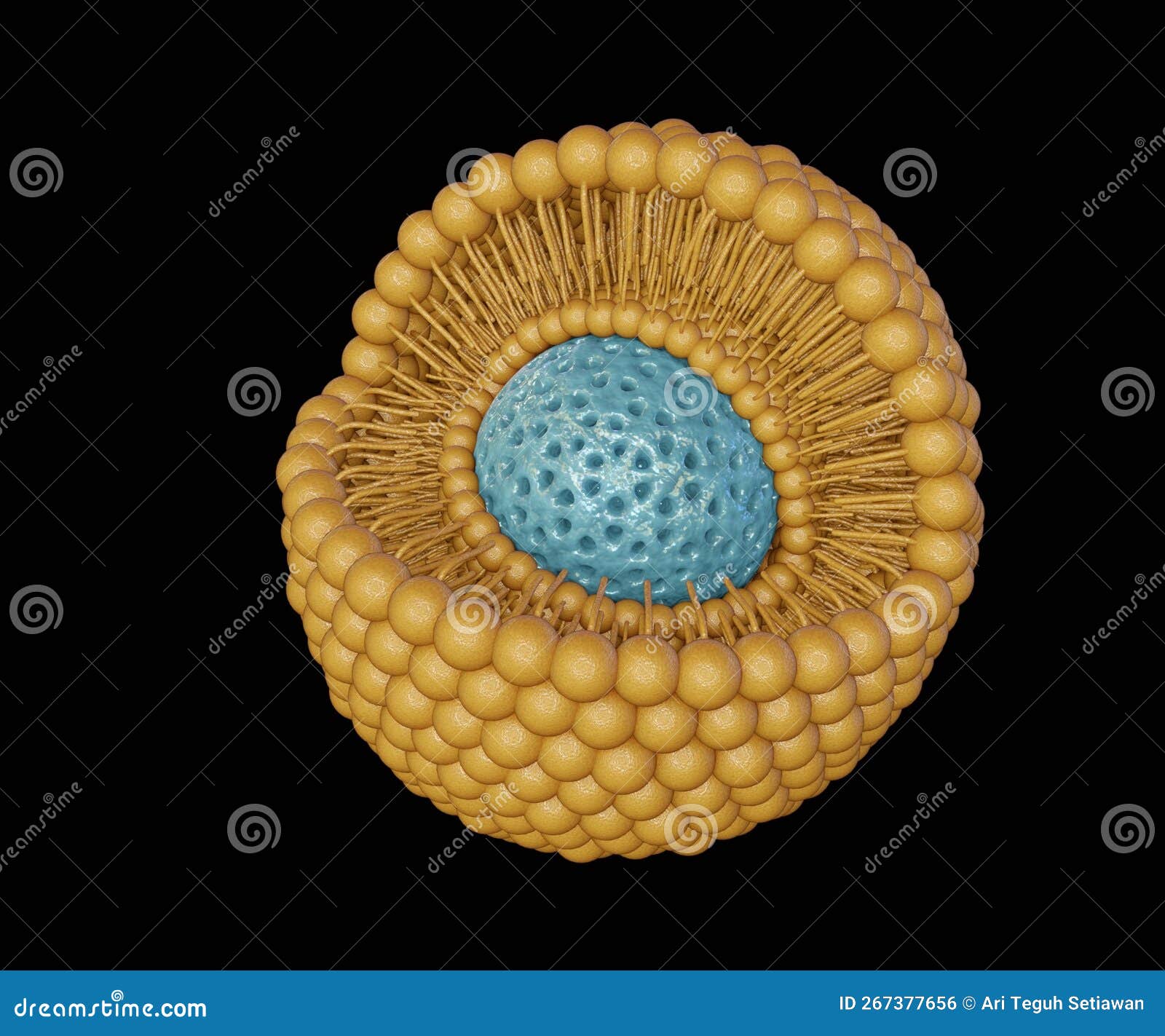 Mesoporous Silica Nanoparticle Inside of Lipid Bilayer Stock ...