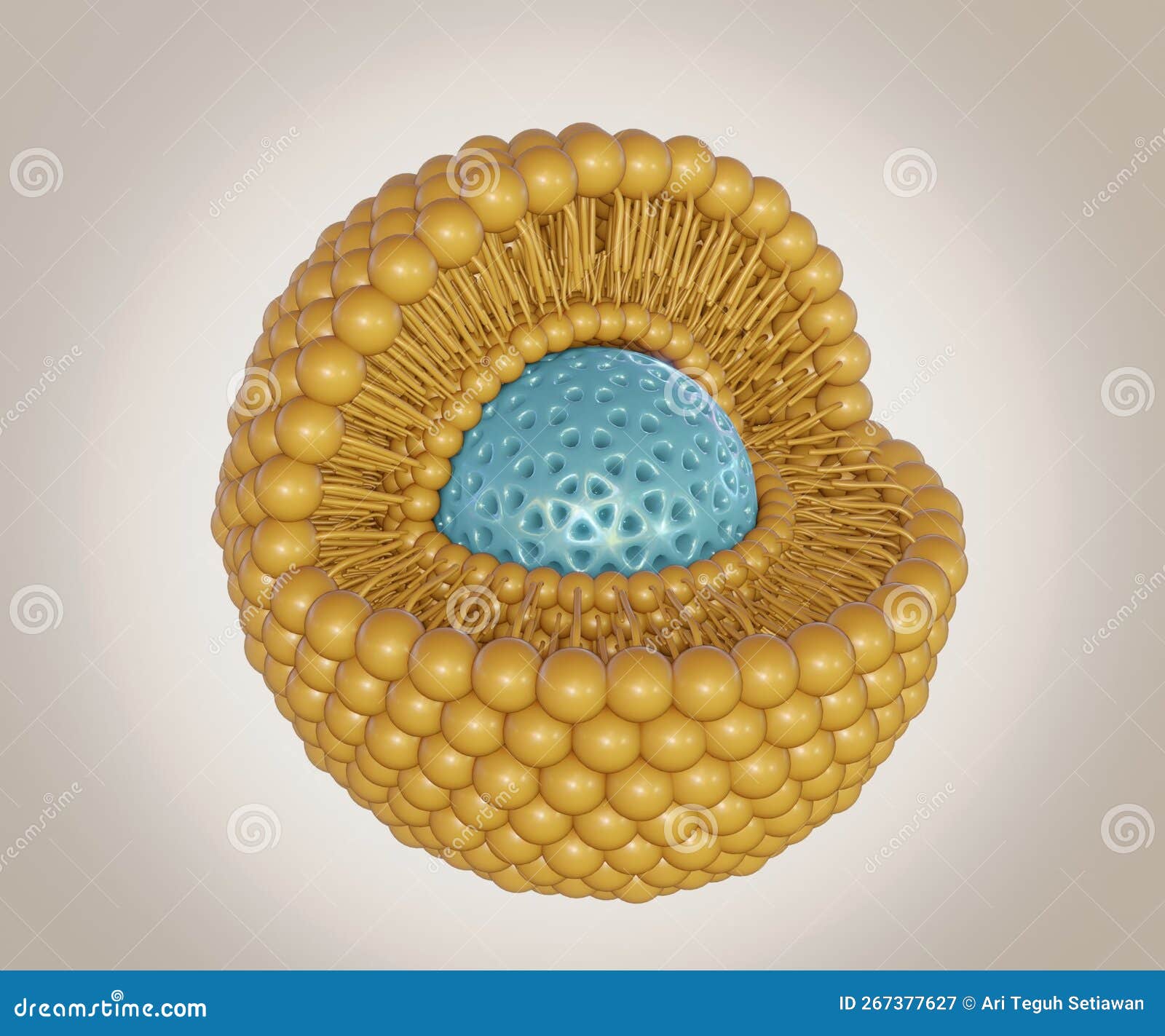 Encapsulation Mesoporous Silica Nanoparticles Drug Delivery Royalty ...