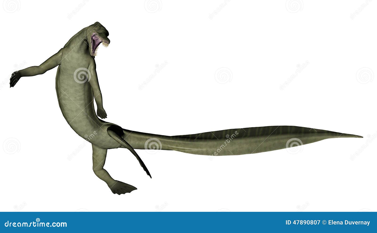 Mesosaurus Dinosaur - 3D Render Stock Illustration - Illustration of ...