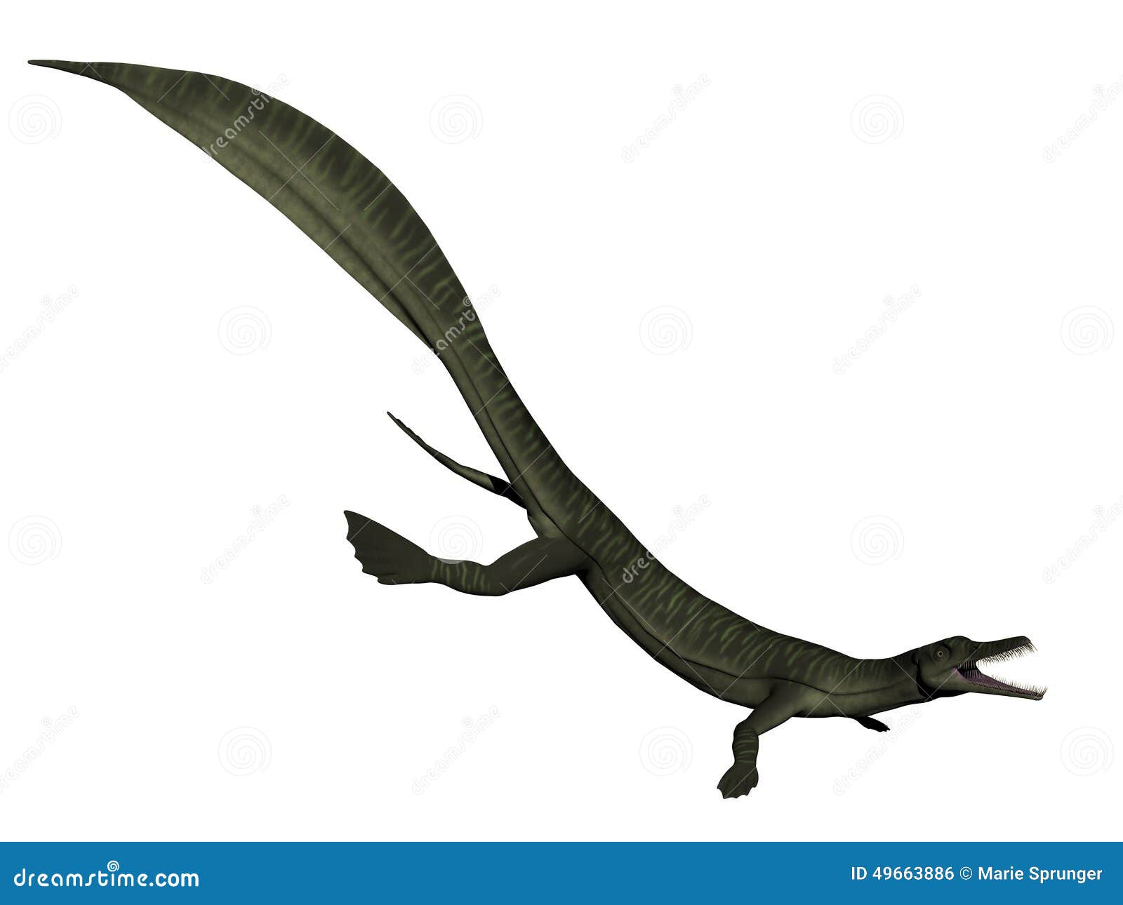 Mesosaurus Dinosaur - 3d Render Stock Illustration - Illustration of ...