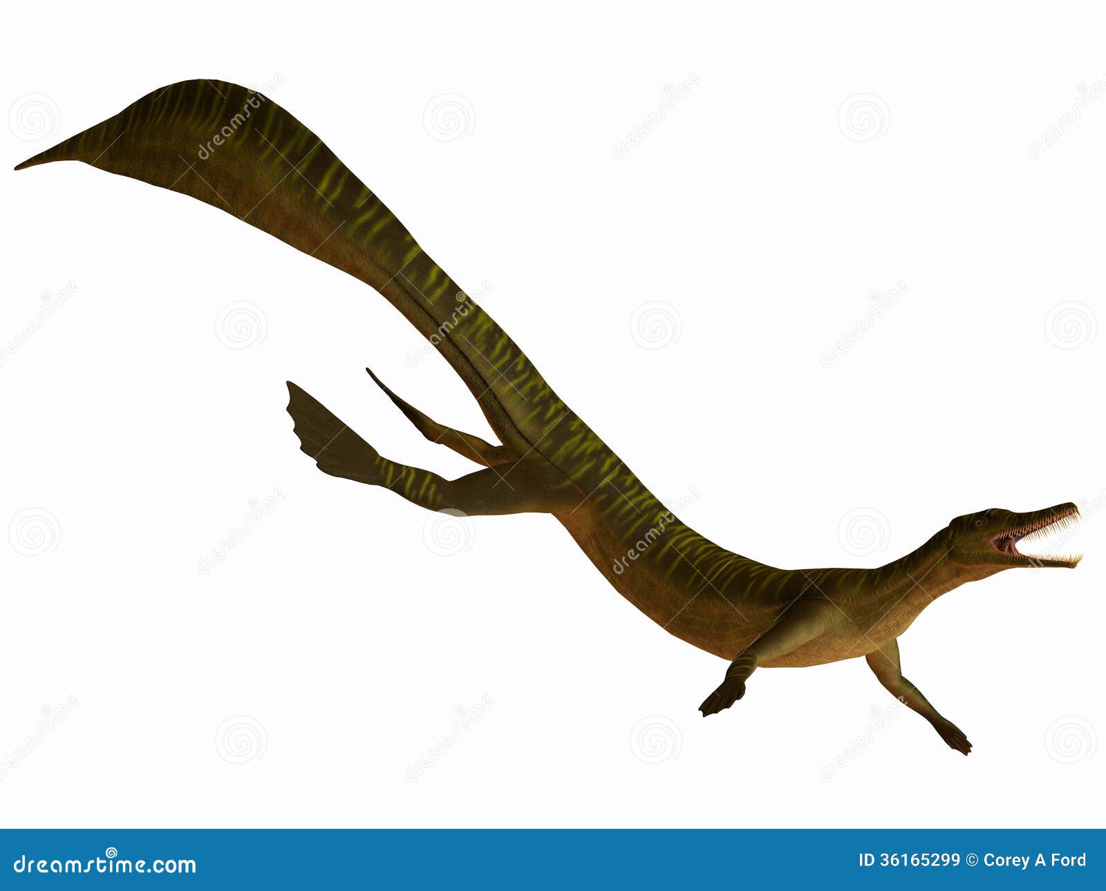 Mesosaurus su bianco illustrazione di stock. Illustrazione di acquatico ...