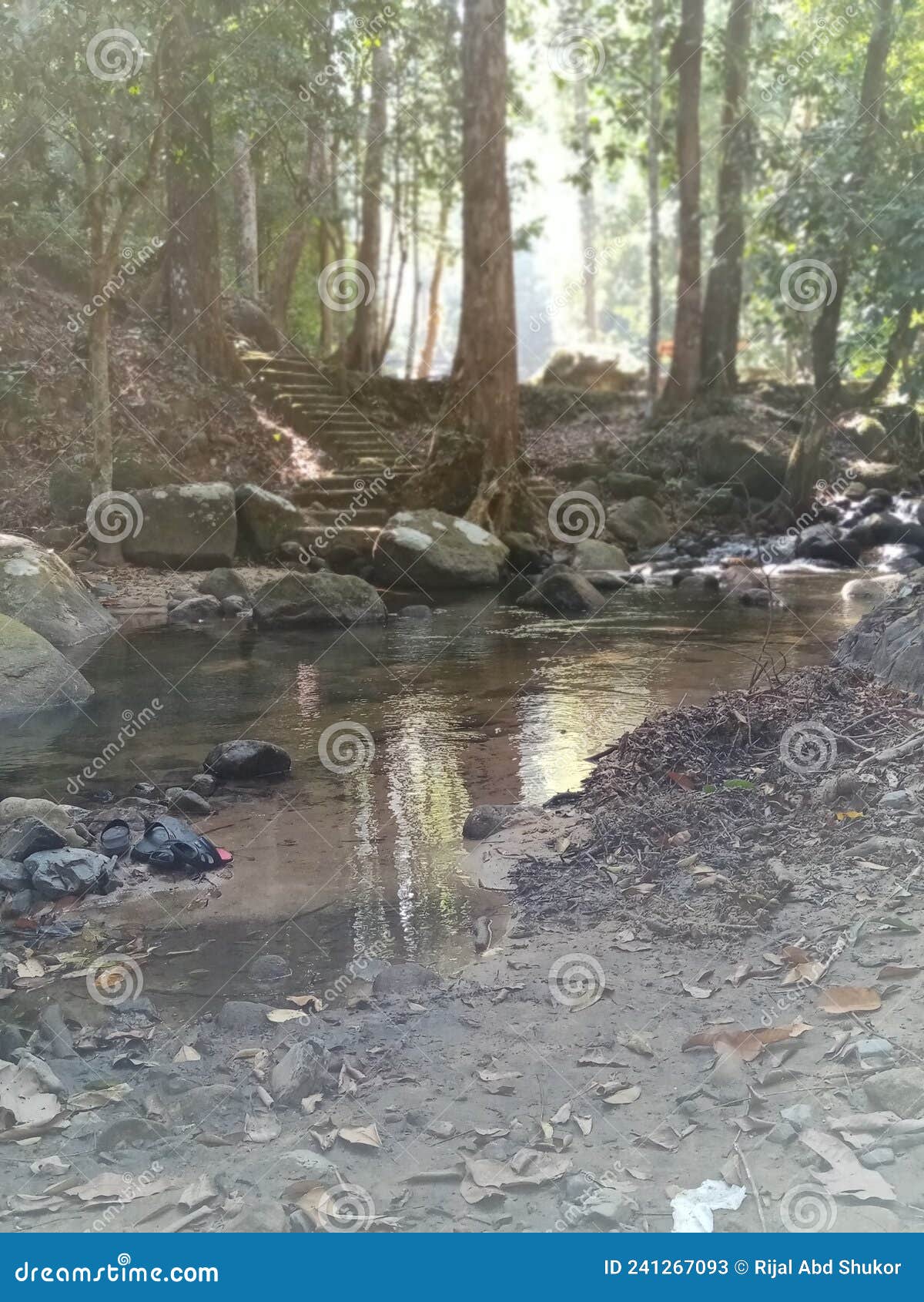 Mesquinha e acolhedora imagem de stock. Imagem de conforto - 241267093