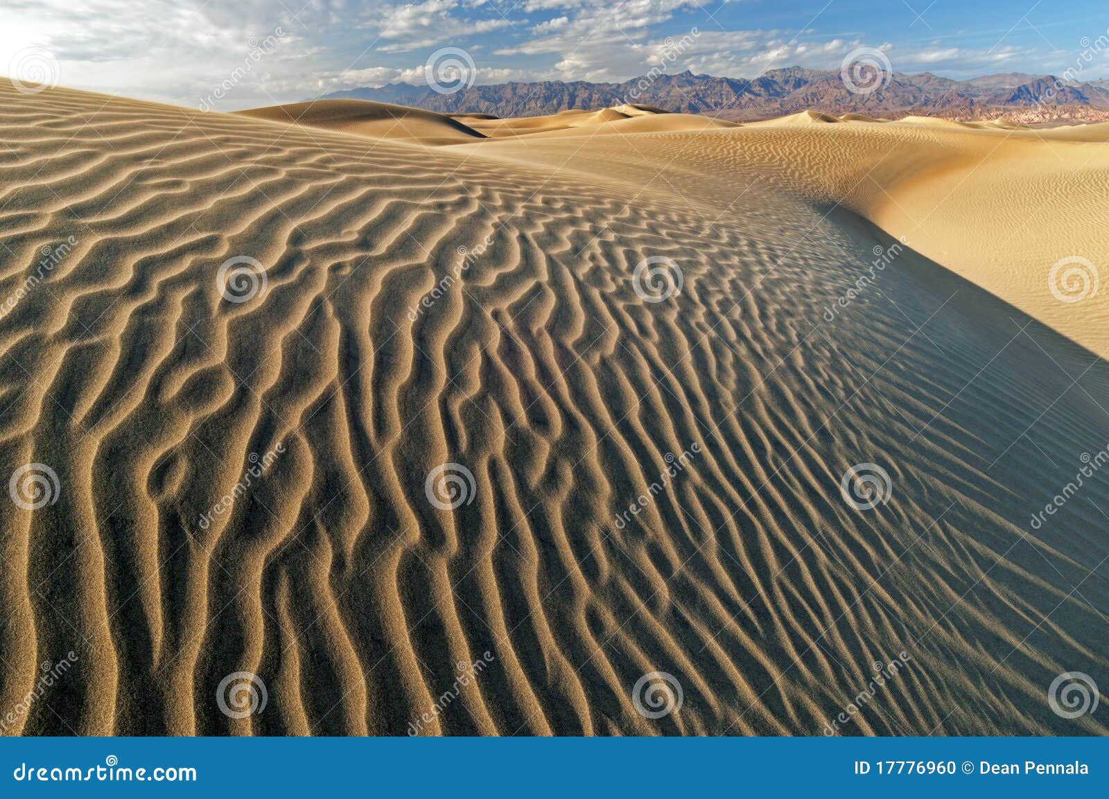 Flat Sand Texture Stock Photo | CartoonDealer.com #32956176