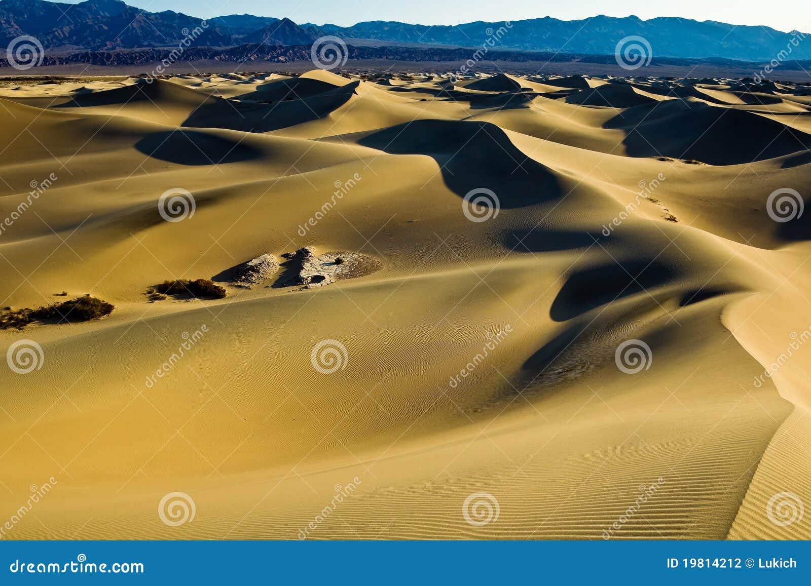 Mesquite Flat Sand Dunes stock photo. Image of flat, canyon - 19814212