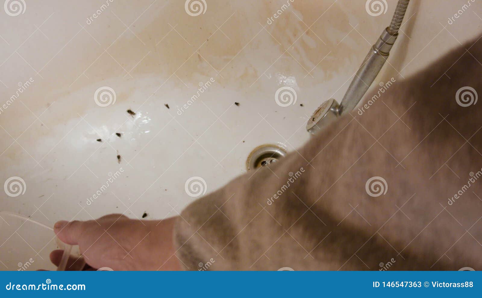 Mess in a bathroom stock video. Video of health, bathroom - 146547363