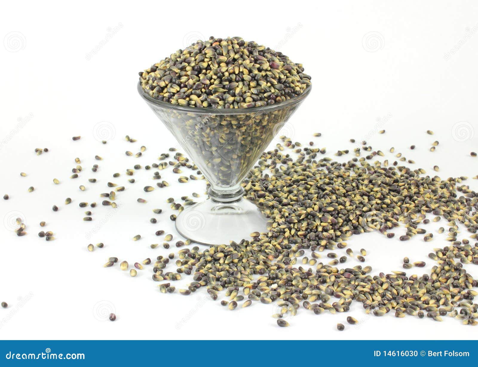 Mess of black popcorn stock photo. Image of natural, delicious - 14616030