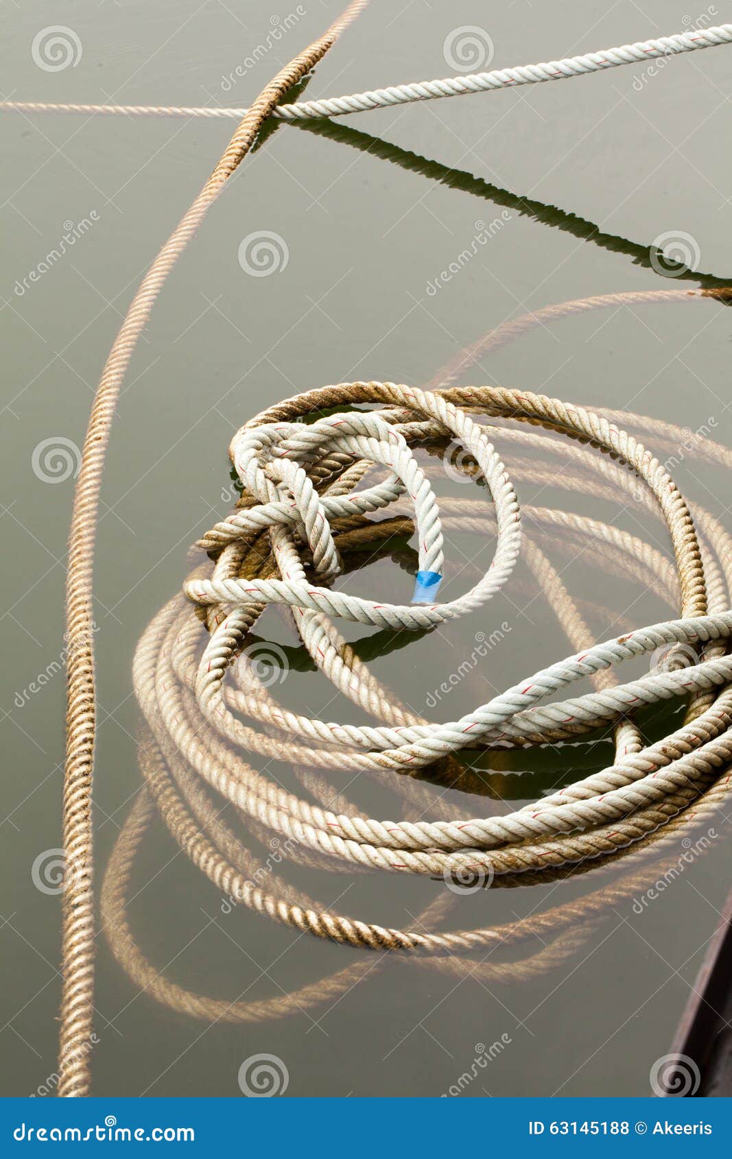 Mess-up bind rope stock photo. Image of rope, bind, water - 63145188