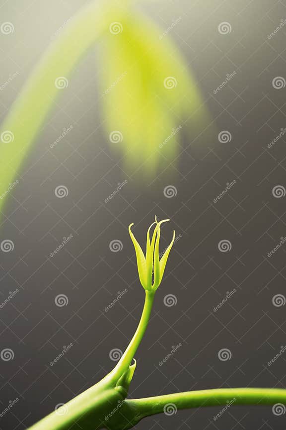 Message stock photo. Image of figurality, inspiration - 28454530