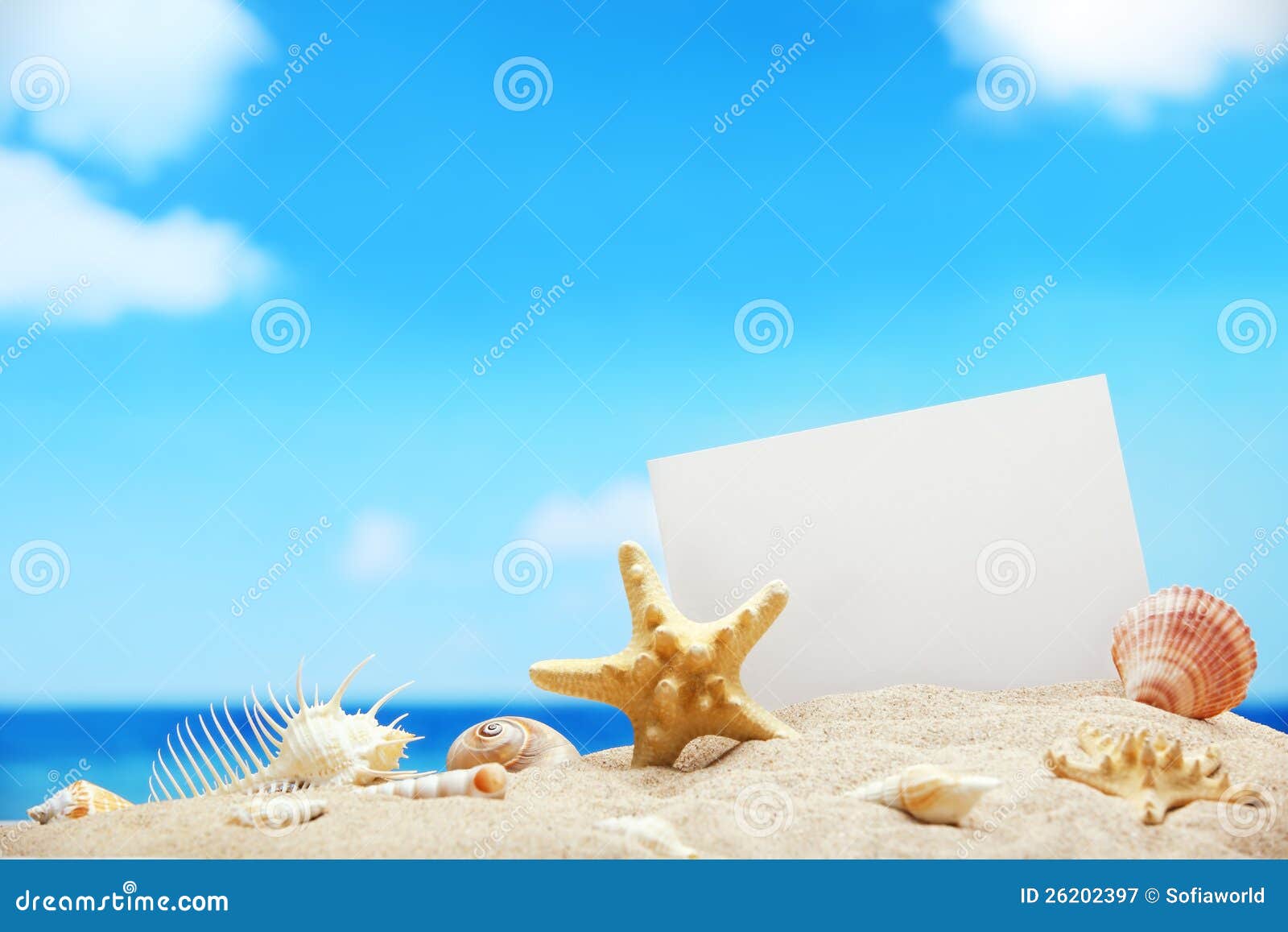 Message from beach stock image. Image of shallow, sandy - 26202397