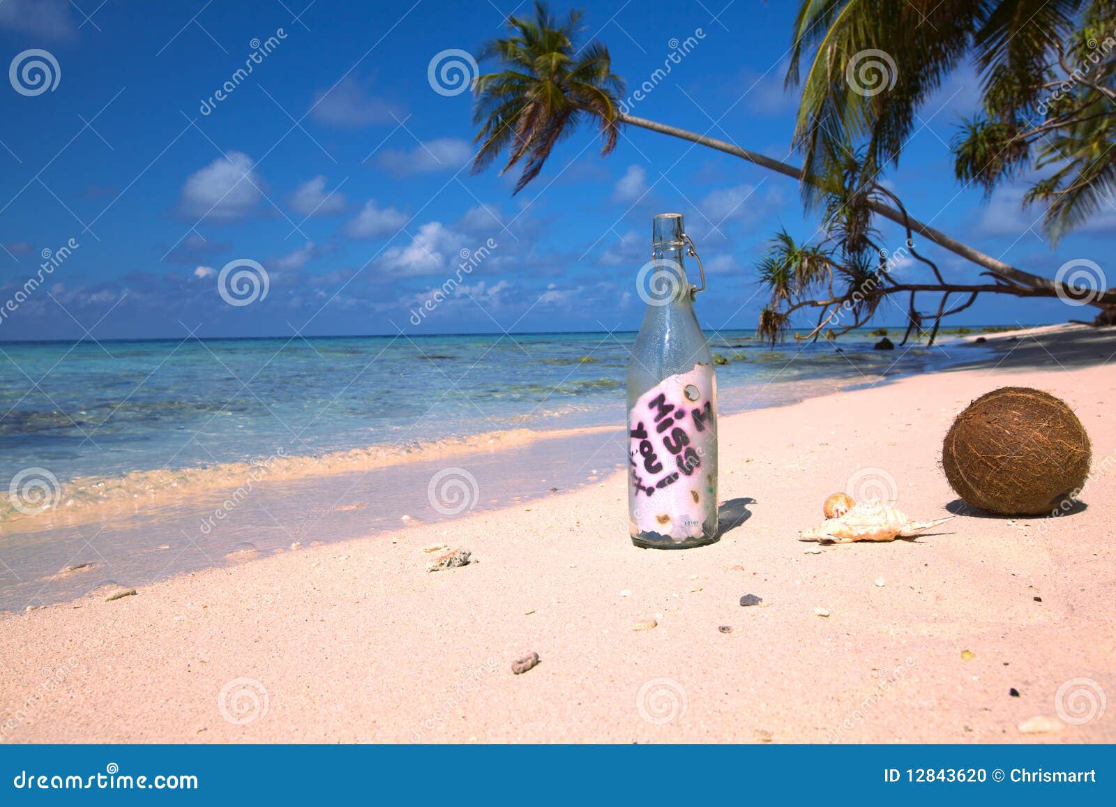 781 Coconut Message Stock Photos - Free & Royalty-Free Stock Photos ...