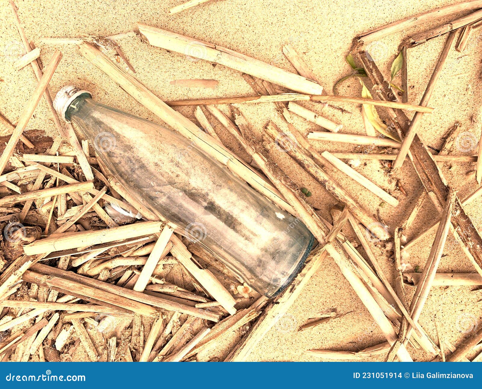 Message in a Bottle Washed Ashore Stock Photo - Image of hope, away ...
