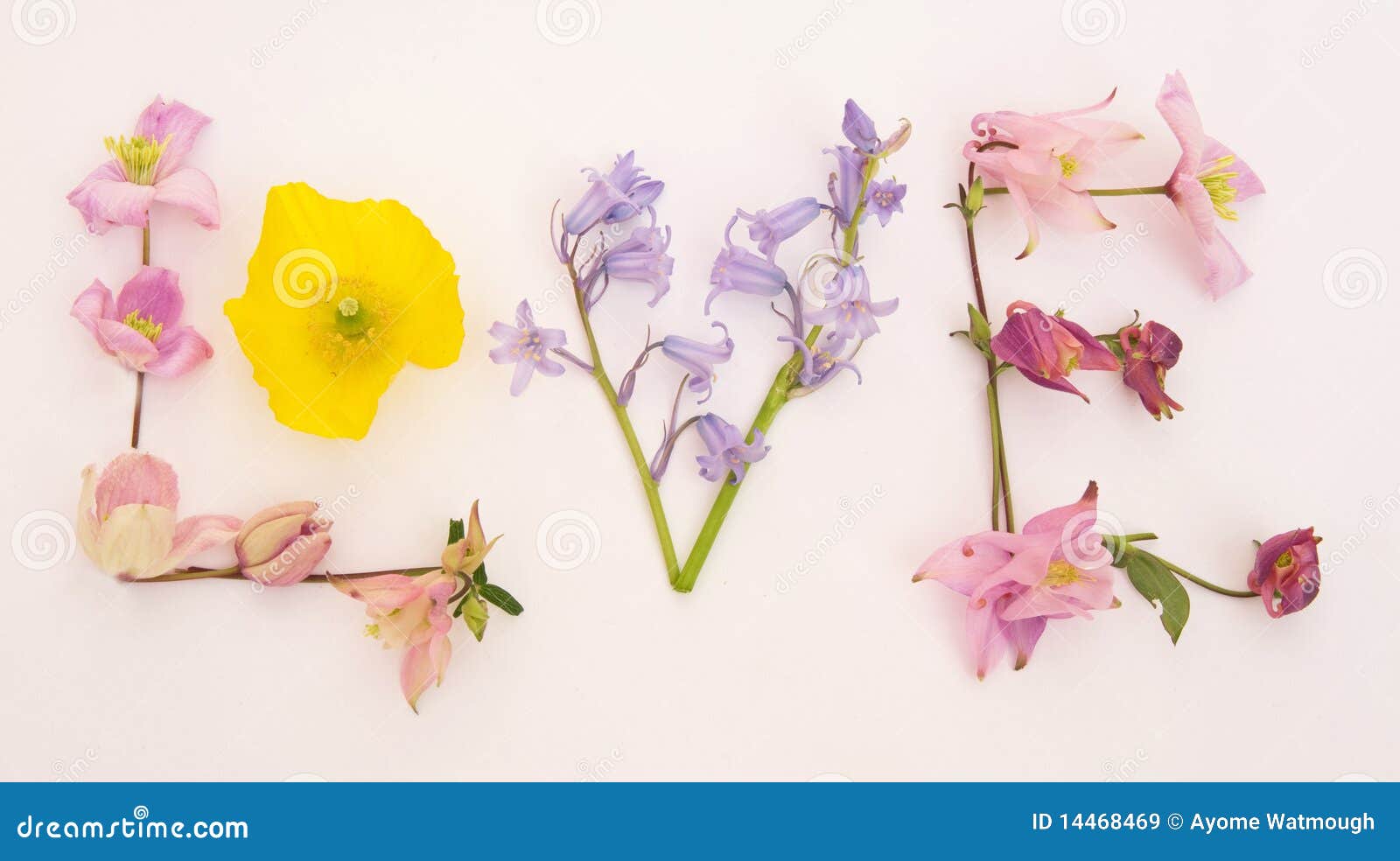 Message of Love with Spring Flowers. Stock Image - Image of lover ...
