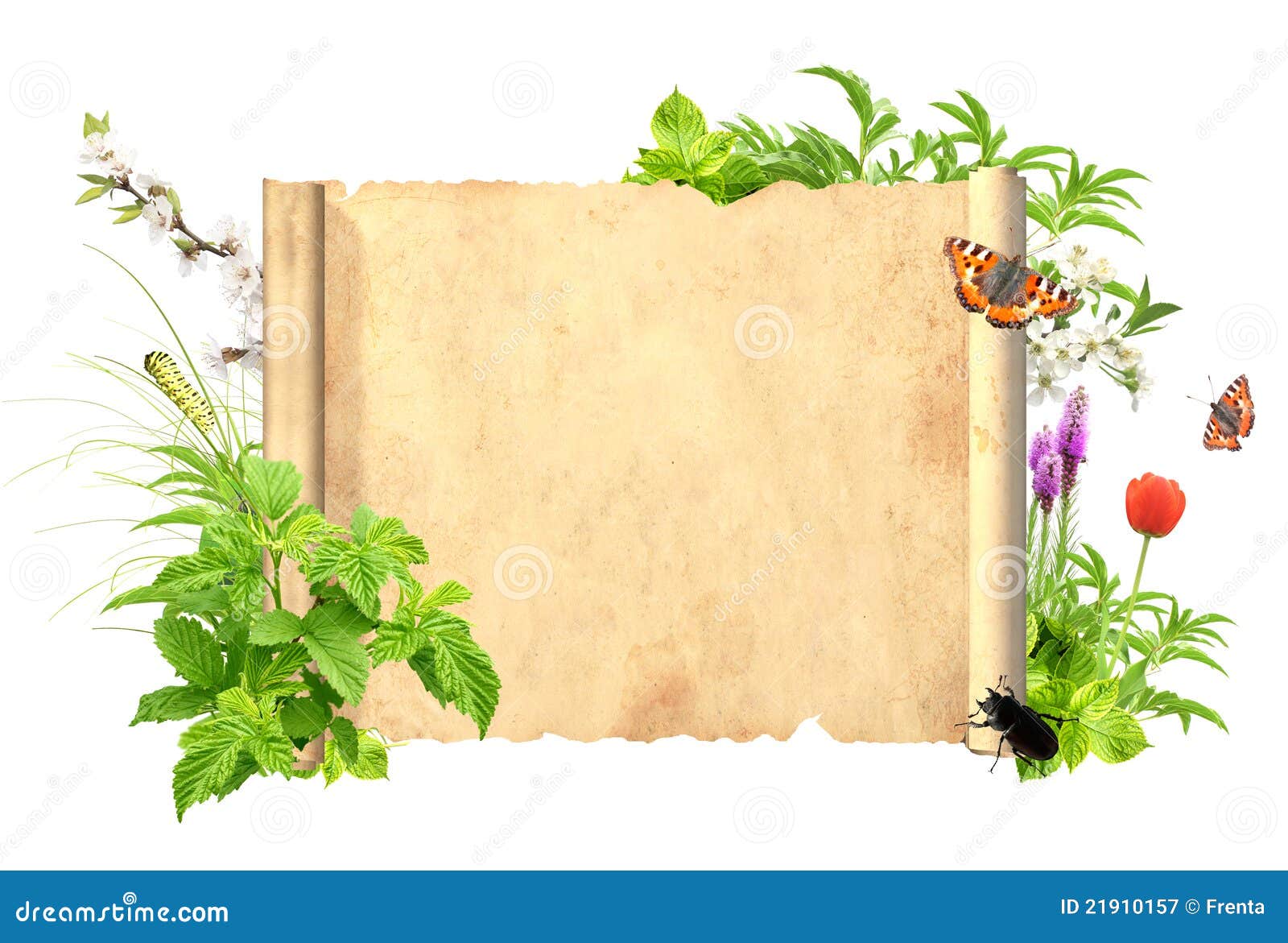 Message of nature stock illustration. Illustration of leaf - 21910157